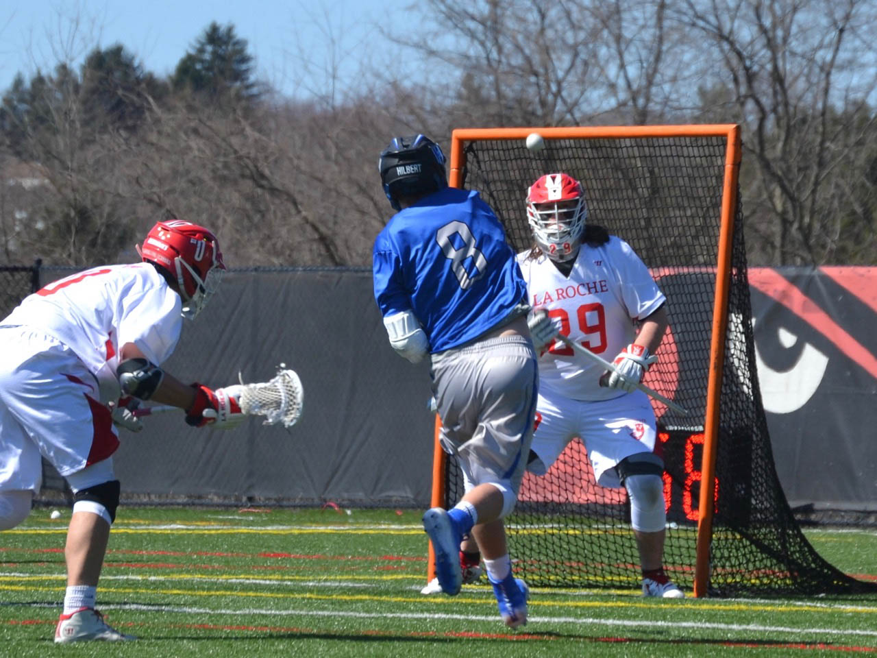 Anthony Cappola - Men's Lacrosse - Hilbert College Athletics
