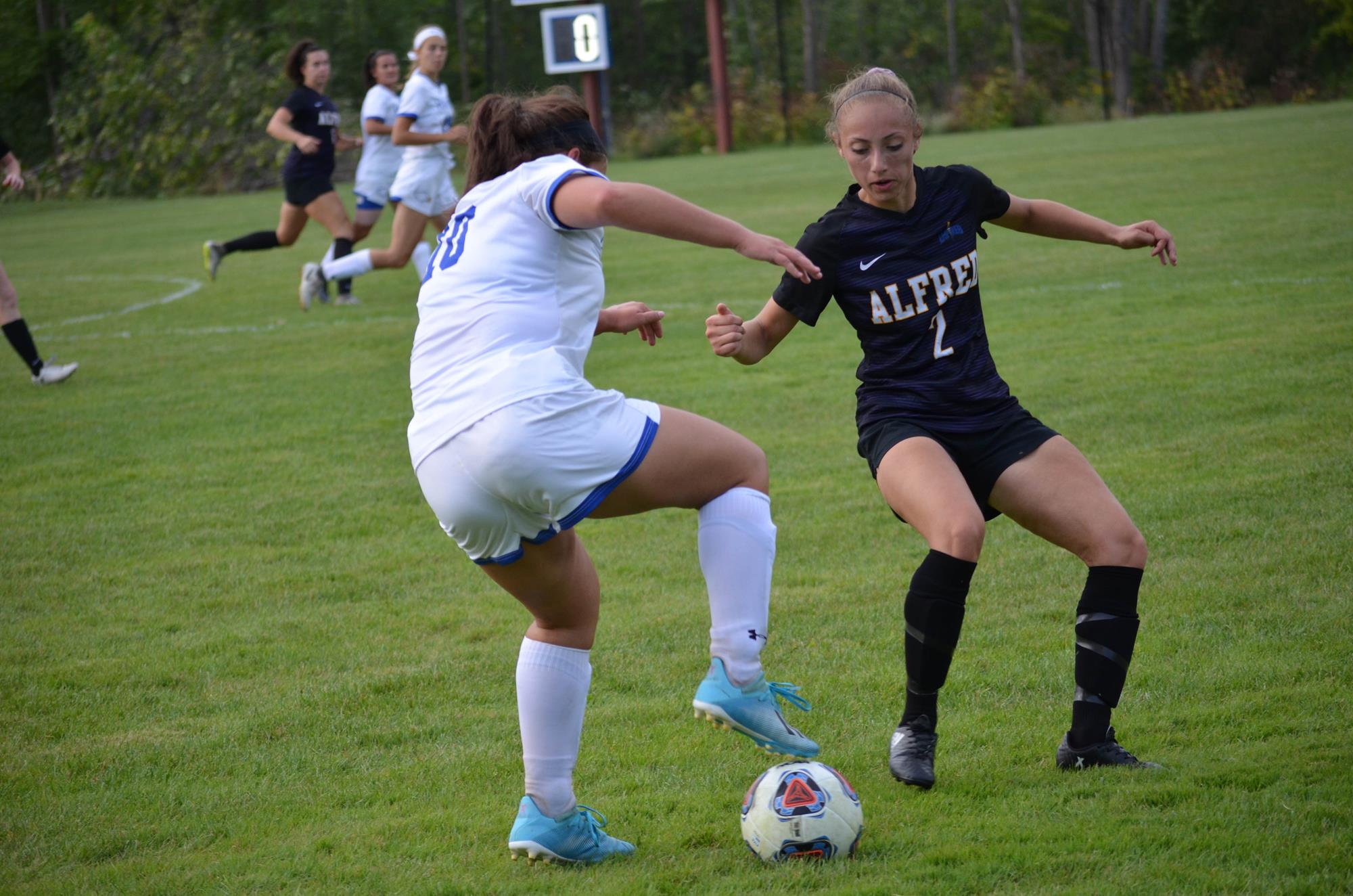 Angelia Johnson - Women's Soccer - Hilbert College Athletics