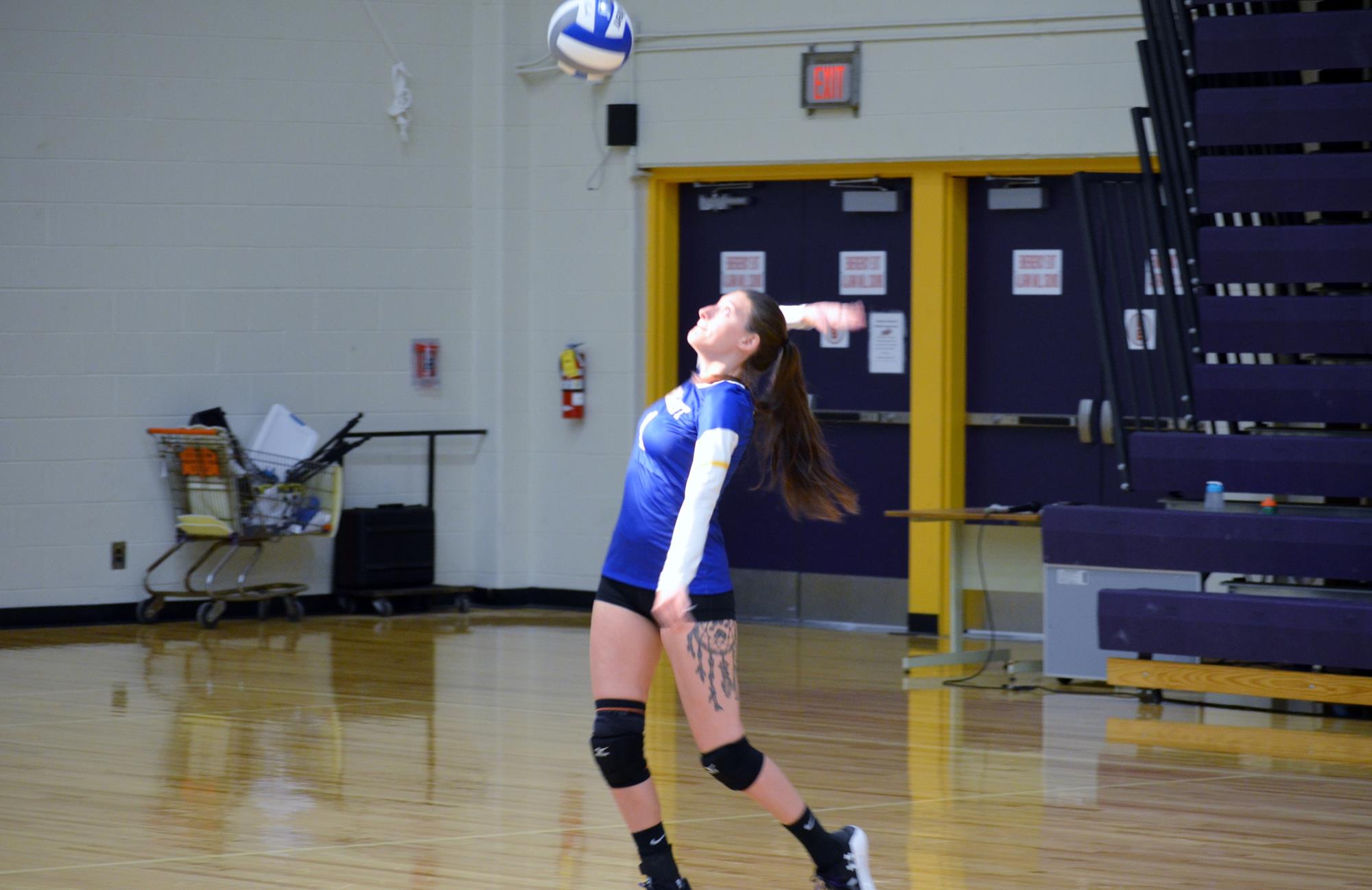 Rachel Hare - Women's Volleyball - Hilbert College Athletics