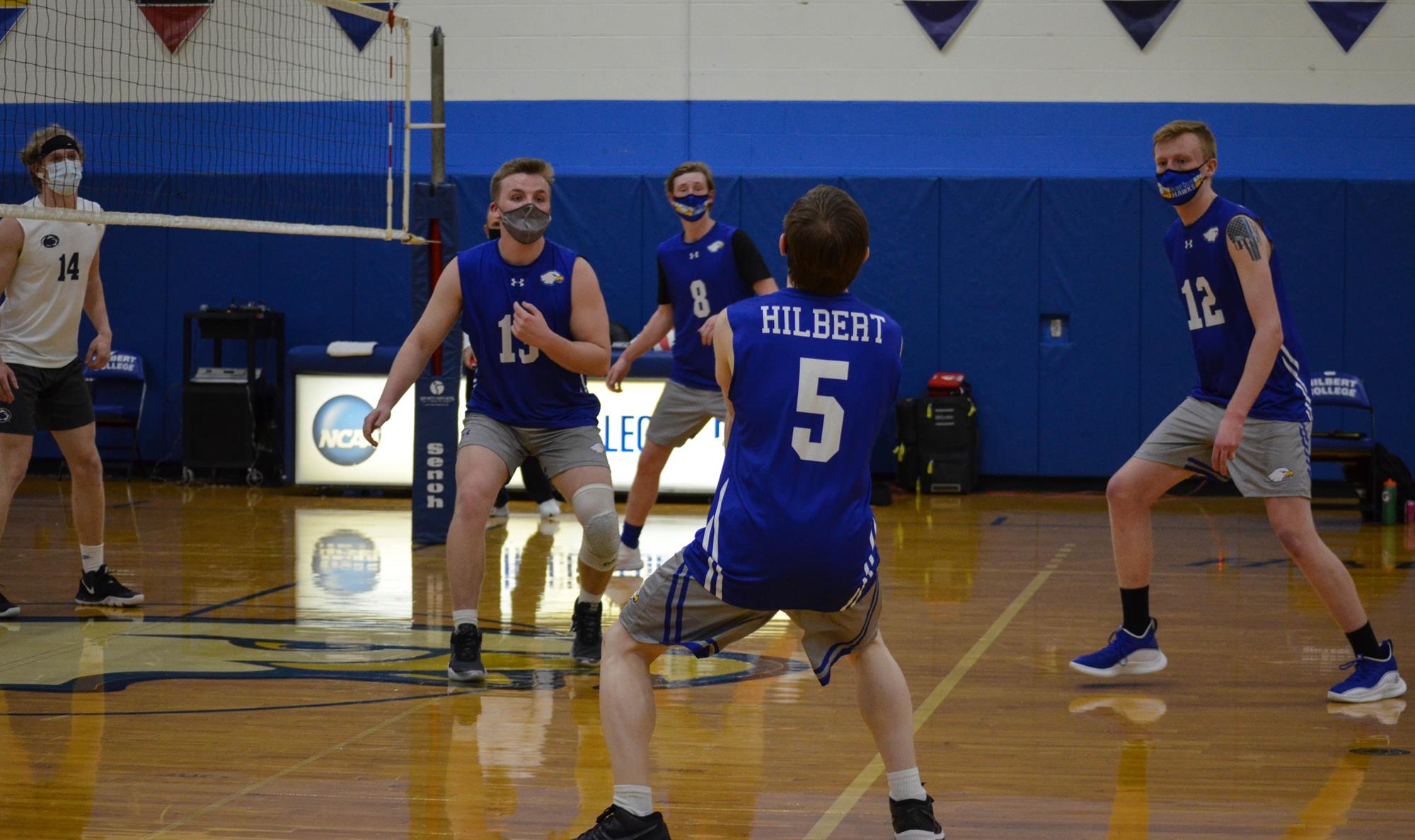 Matthew Domagala - Men's Volleyball - Hilbert College Athletics