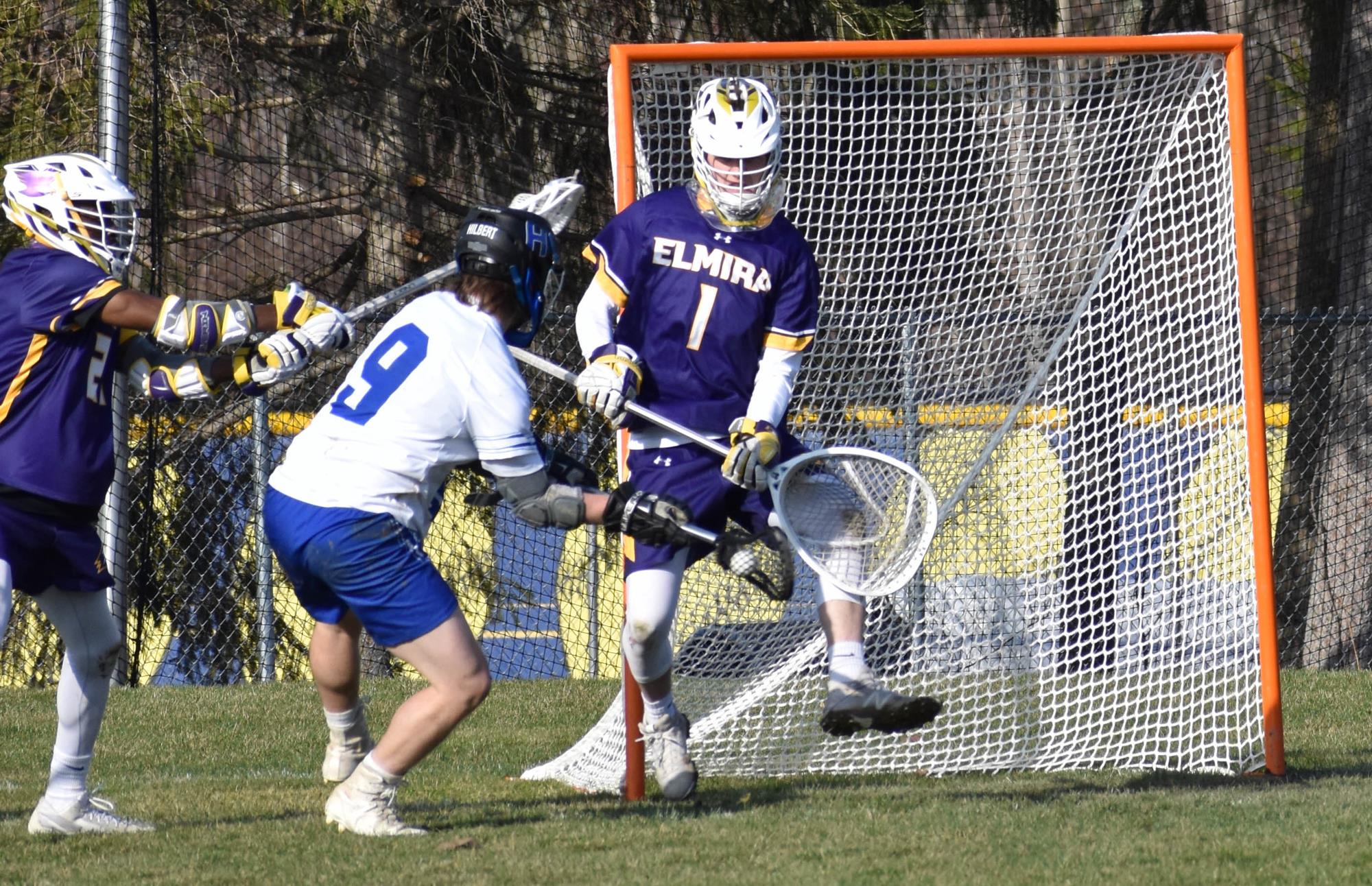 Brandon Bitka - Men's Lacrosse - Hilbert College Athletics