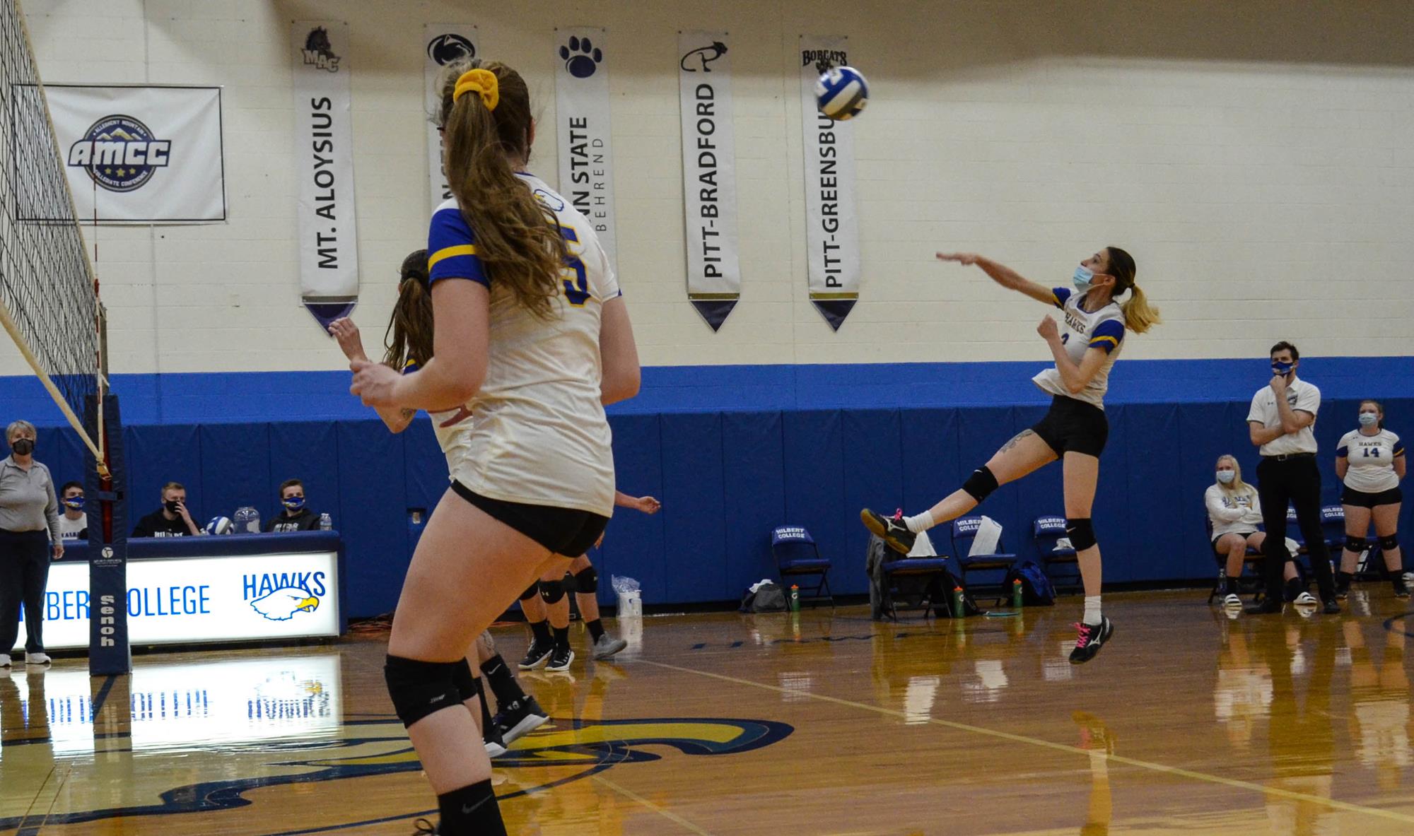 Jessica Cruz-Jackson - Women's Volleyball - Hilbert College Athletics