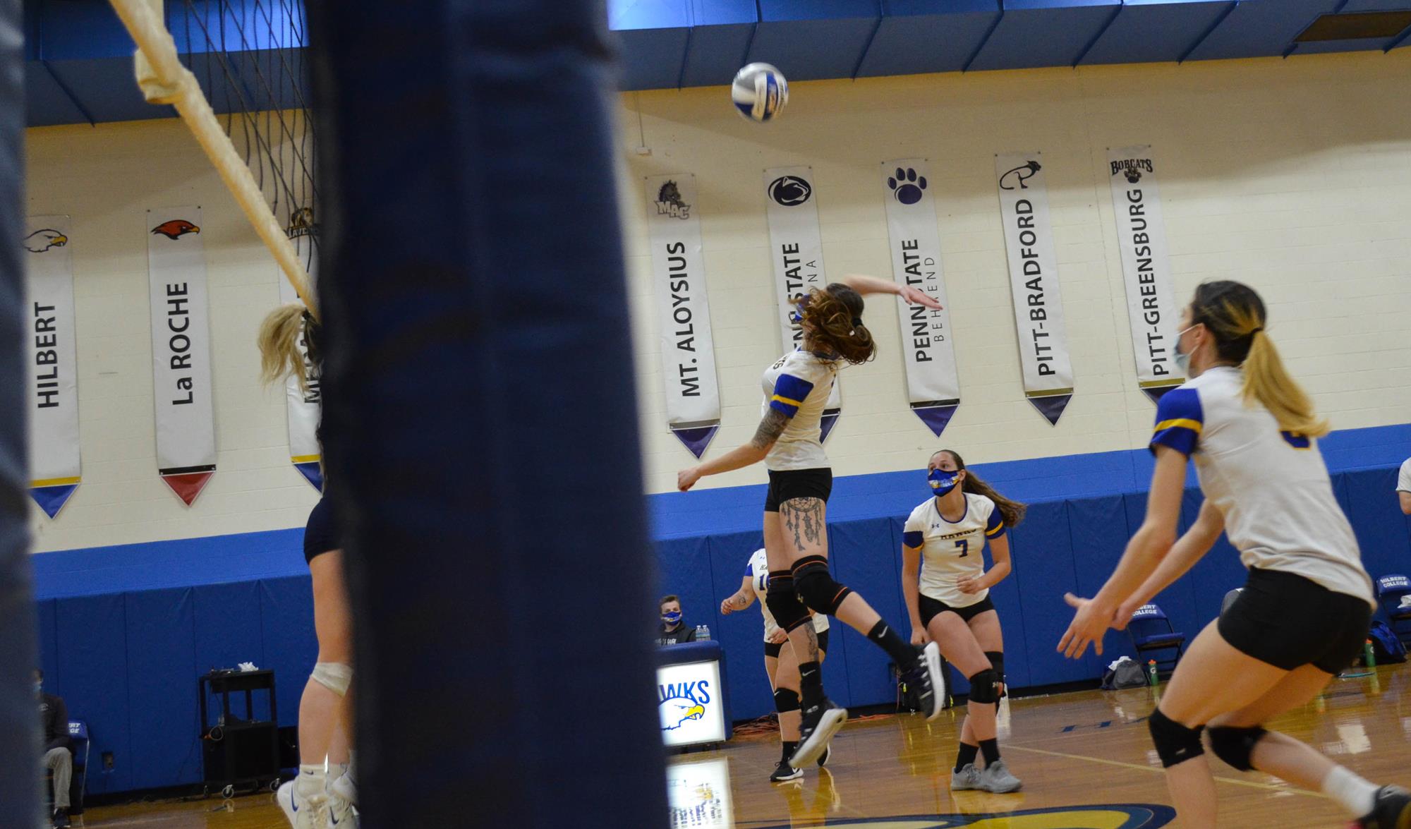 Rachel Hare - Women's Volleyball - Hilbert College Athletics