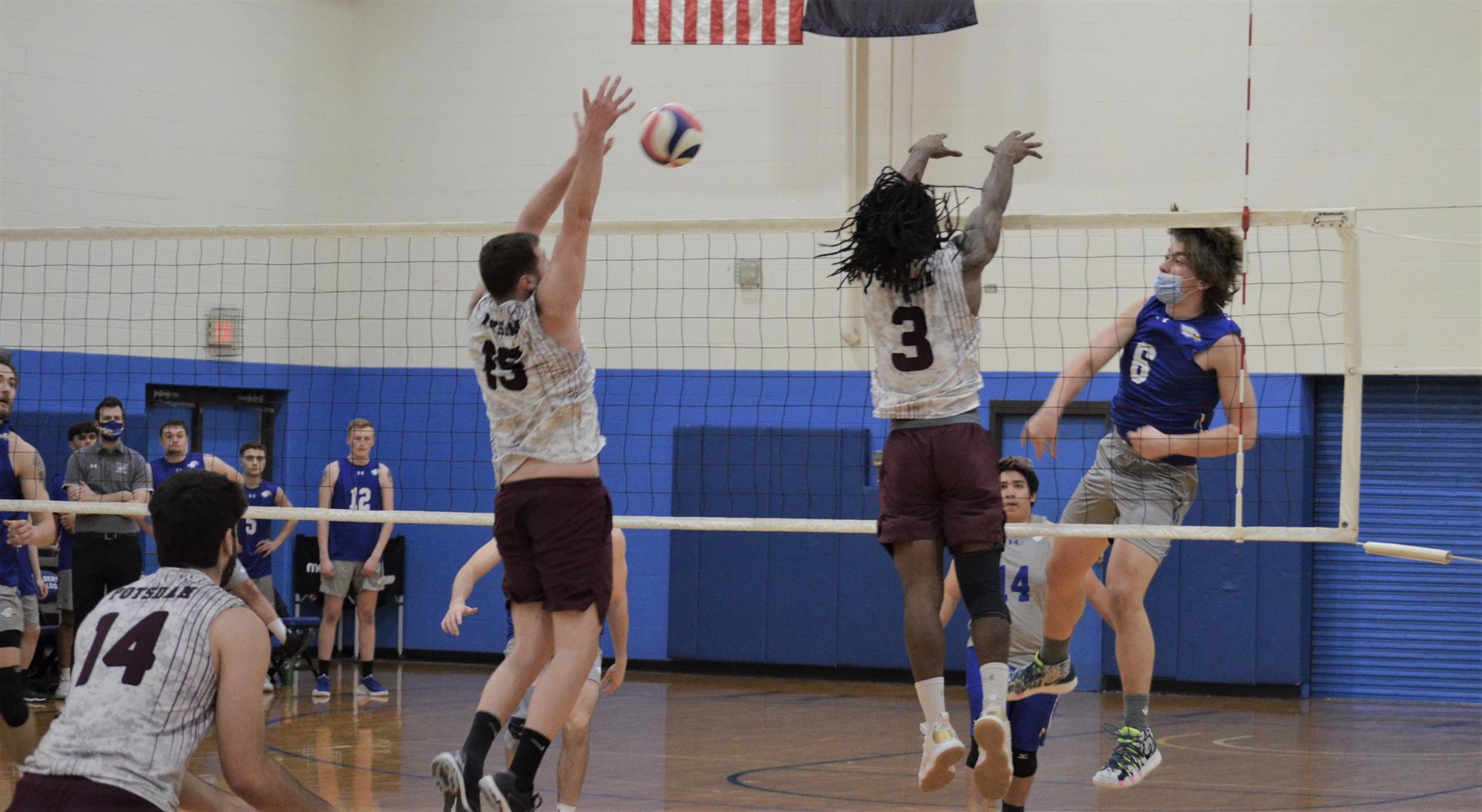 Ryan Levcik - Men's Volleyball - Hilbert College Athletics