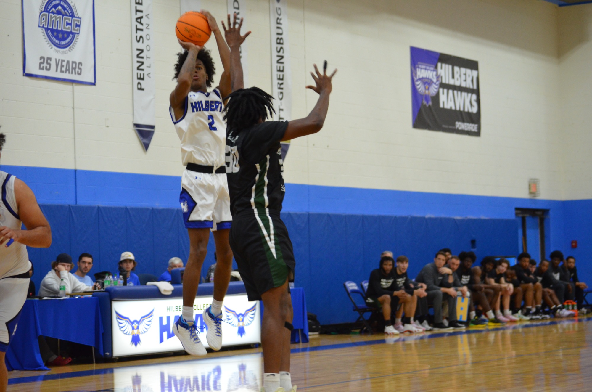 Hawks Head to Tip Off Title Game Saturday - Hilbert College Athletics