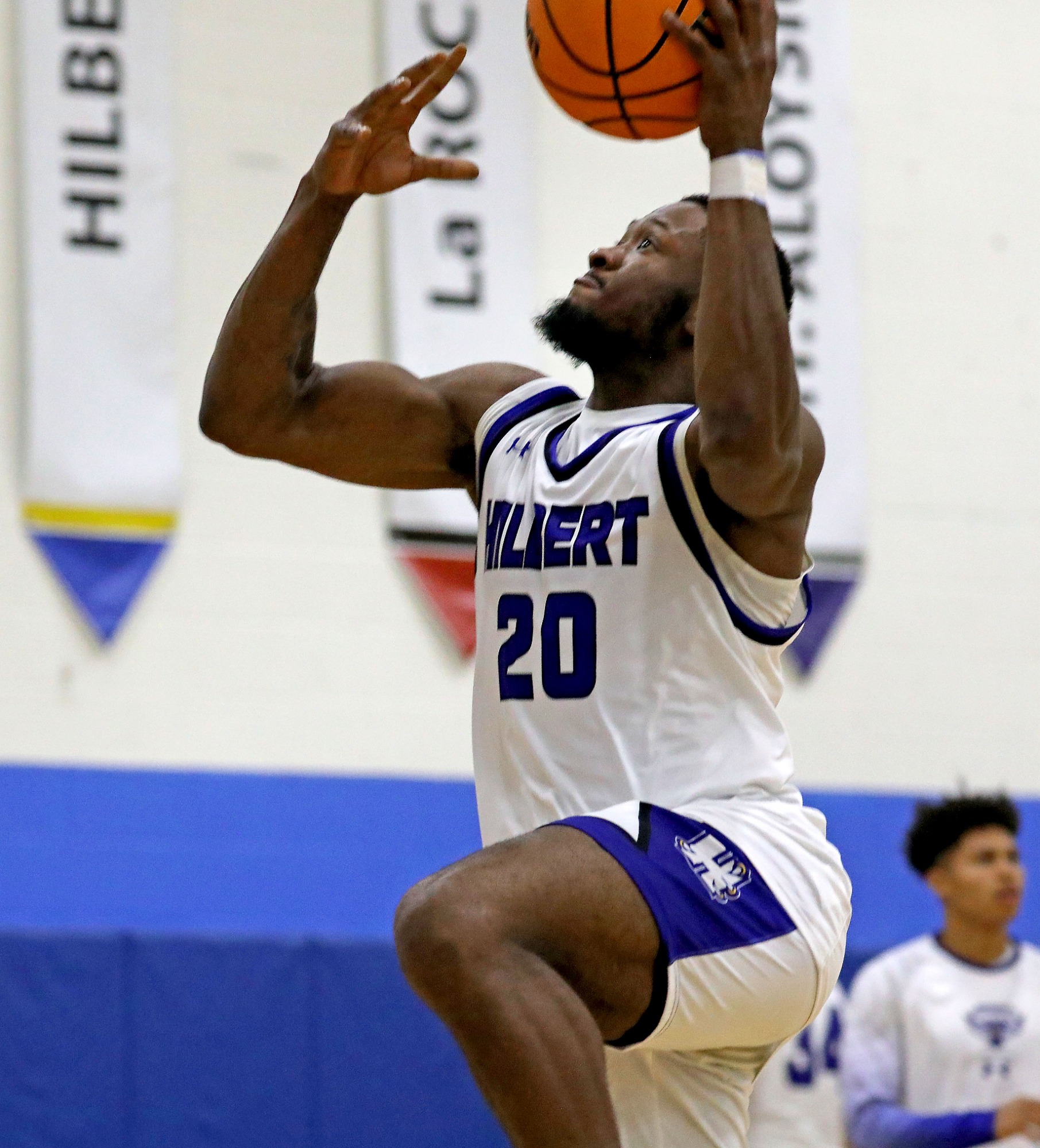 Michael Pollard - Men's Basketball - Hilbert College Athletics