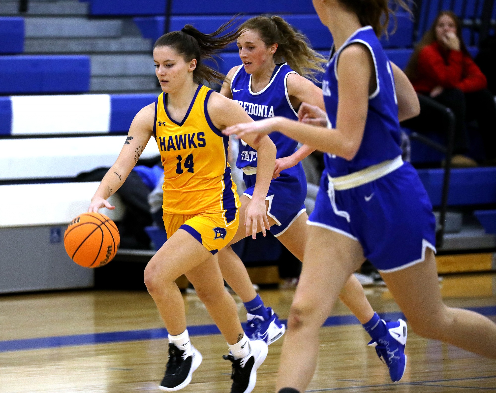 Hawks Fall To AMCC Opponent At Home - Hilbert College Athletics
