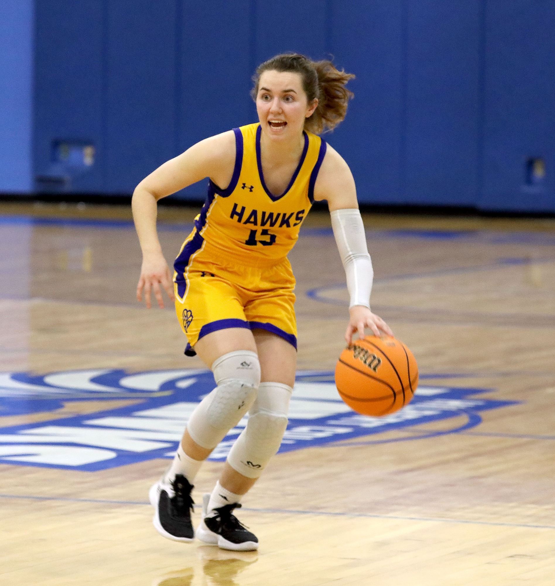 Hawks Earn Huge AMCC Win At Home - Hilbert College Athletics