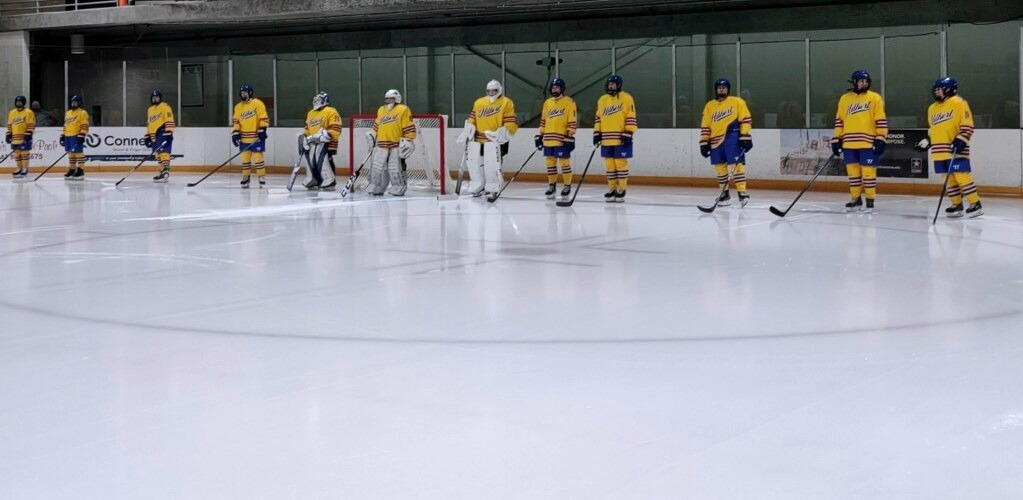 Hawks Battle Bengals - Hilbert College Athletics