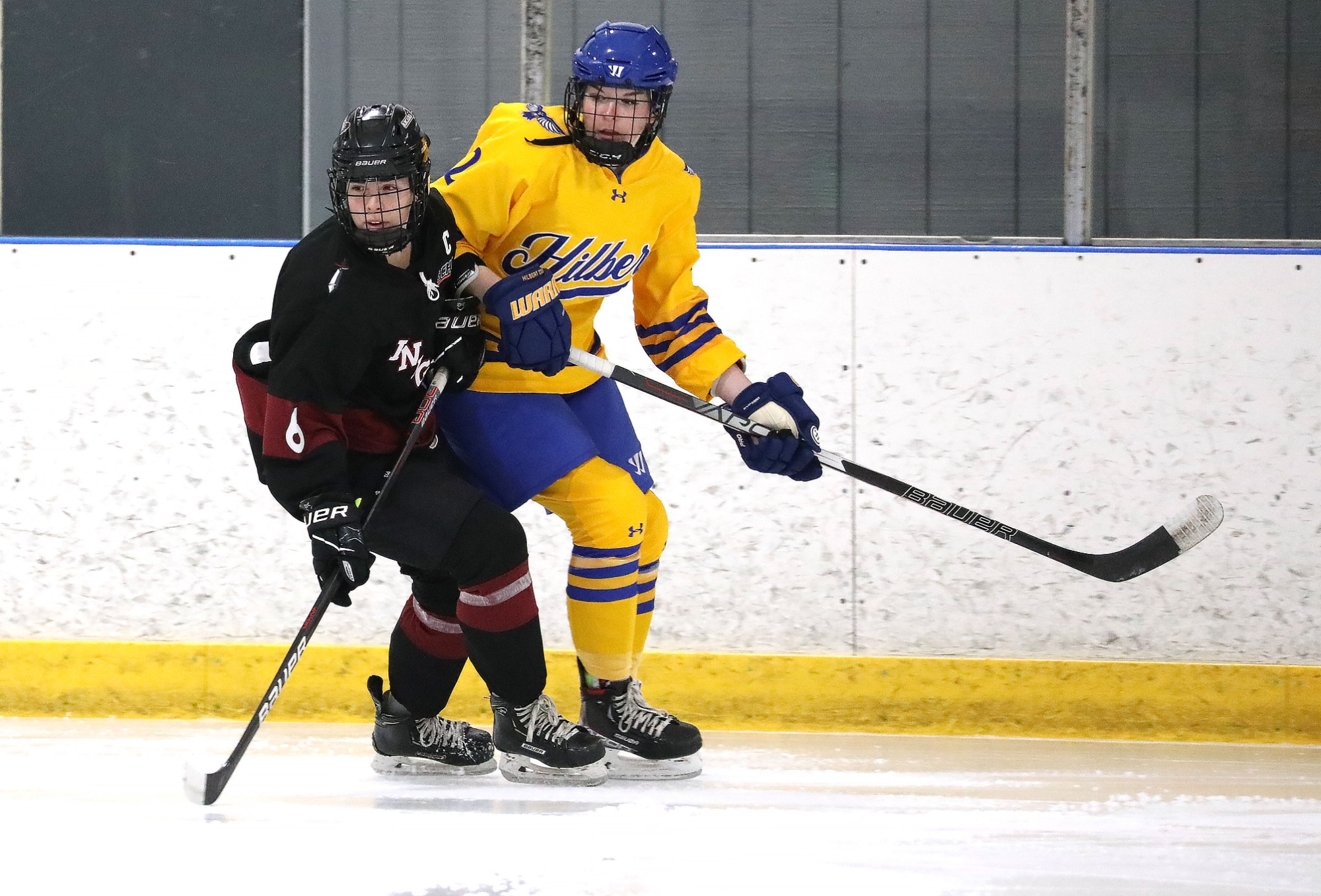 Abby MacNeil - Women's Ice Hockey - Hilbert College Athletics