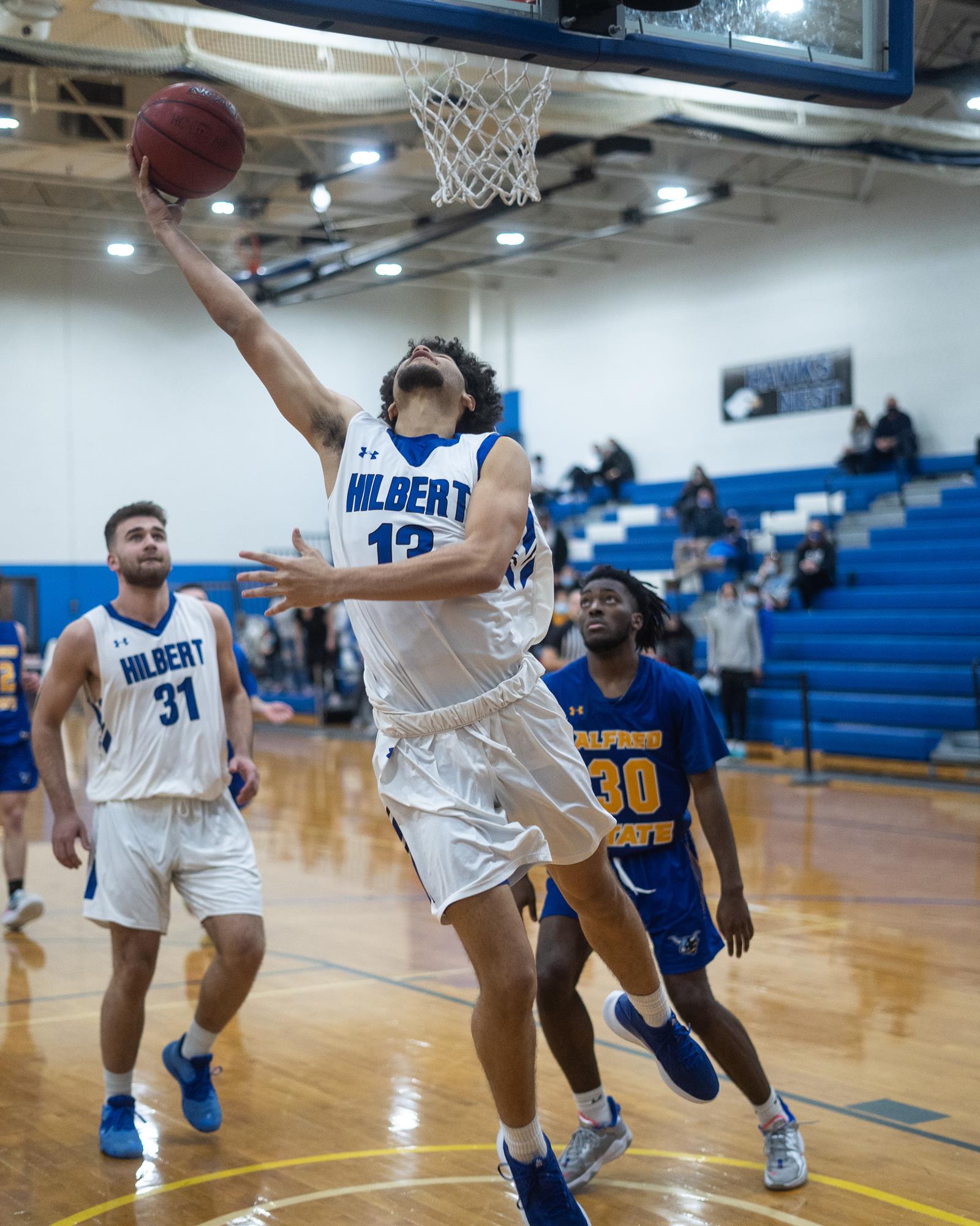Yendry Hernandez - Men's Basketball - Hilbert College Athletics
