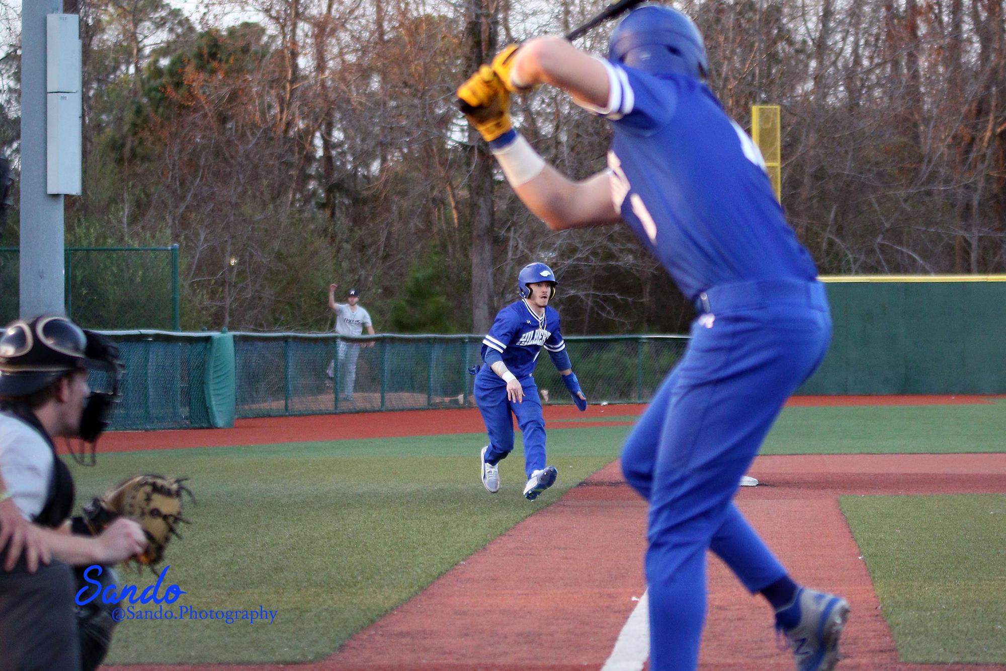Michael Contini - Baseball - Hilbert College Athletics