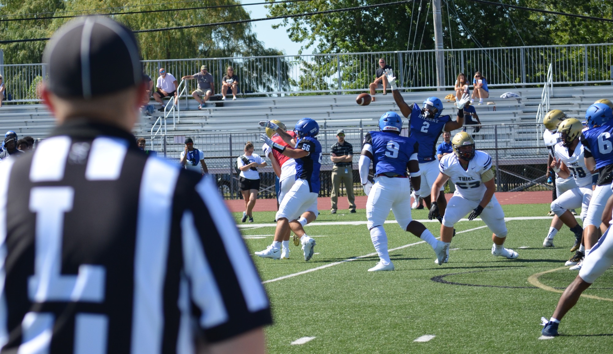 Emmanuel Land IV - Football - Hilbert College Athletics