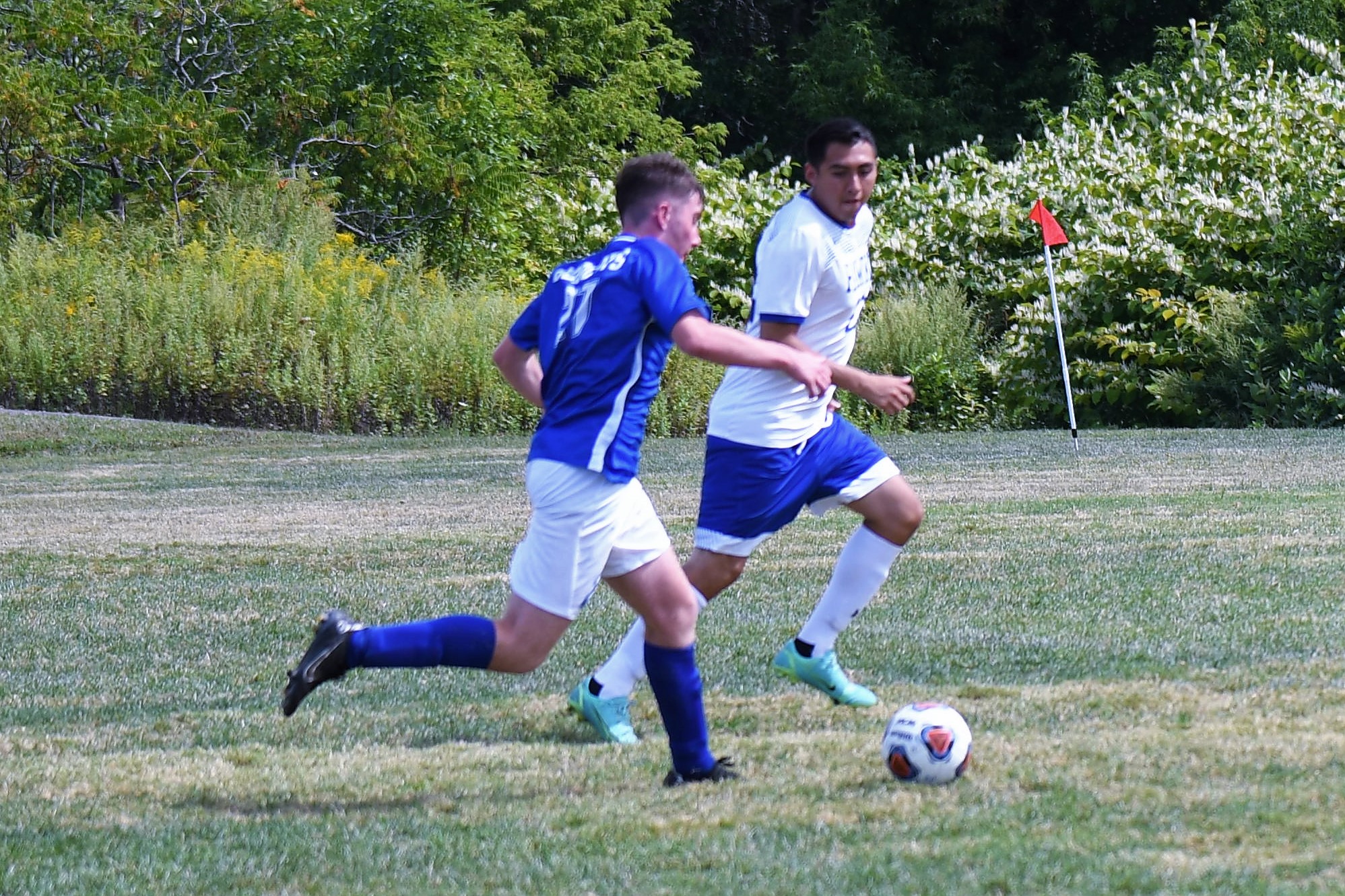 Alexis Del Bosque - Men's Soccer - Hilbert College Athletics