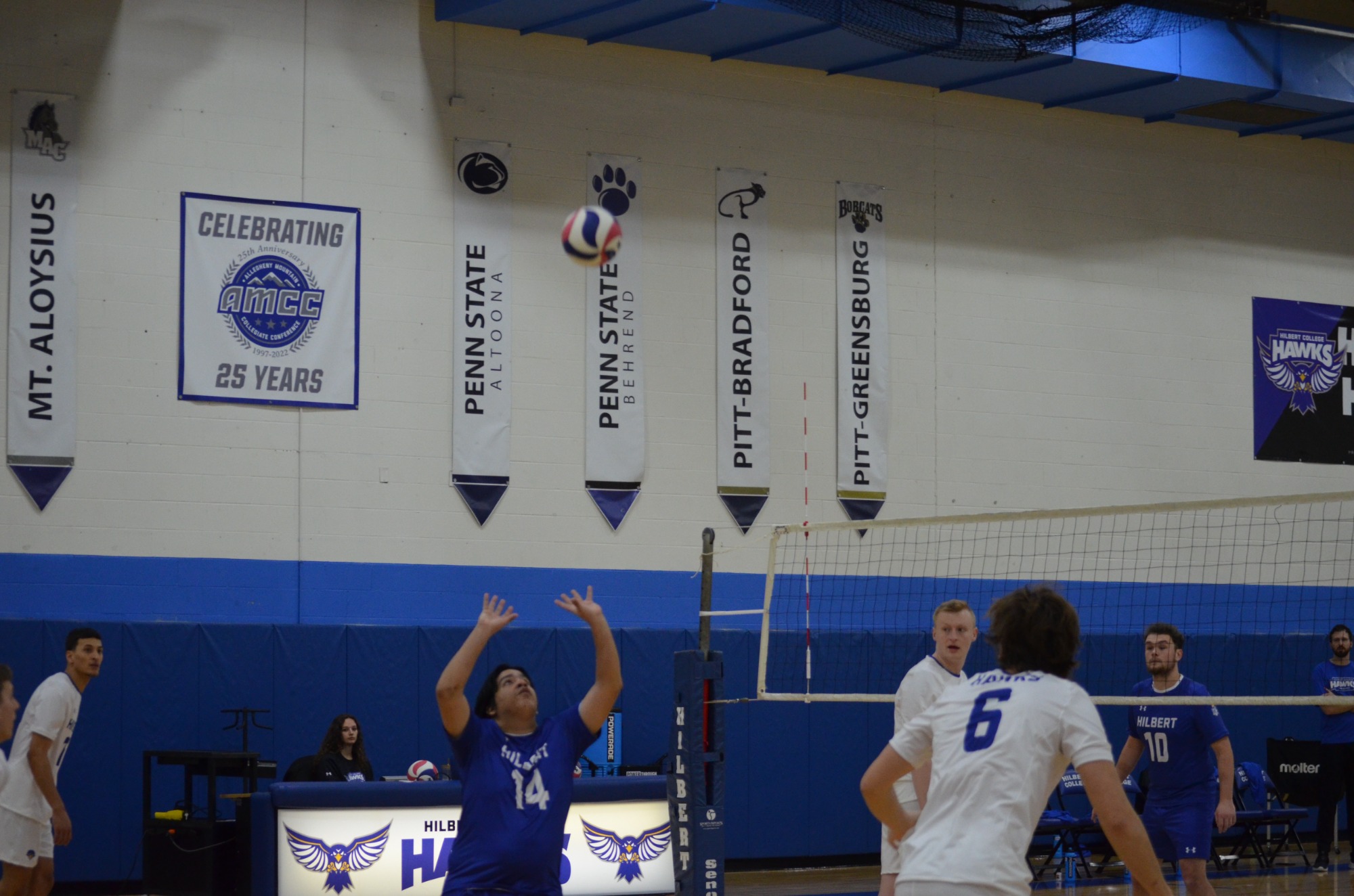 Luis Garcia - Men's Volleyball - Hilbert College Athletics