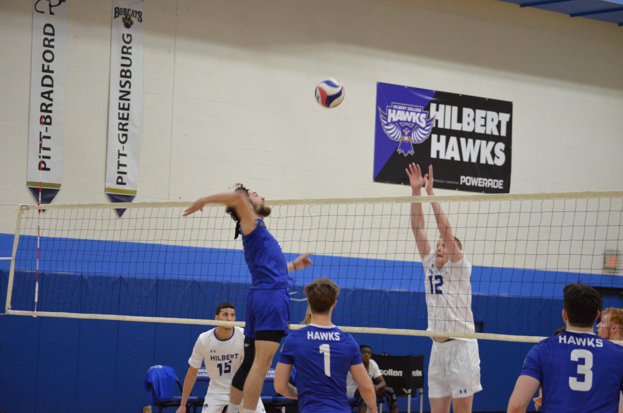 Nick Diello - Men's Volleyball - Hilbert College Athletics