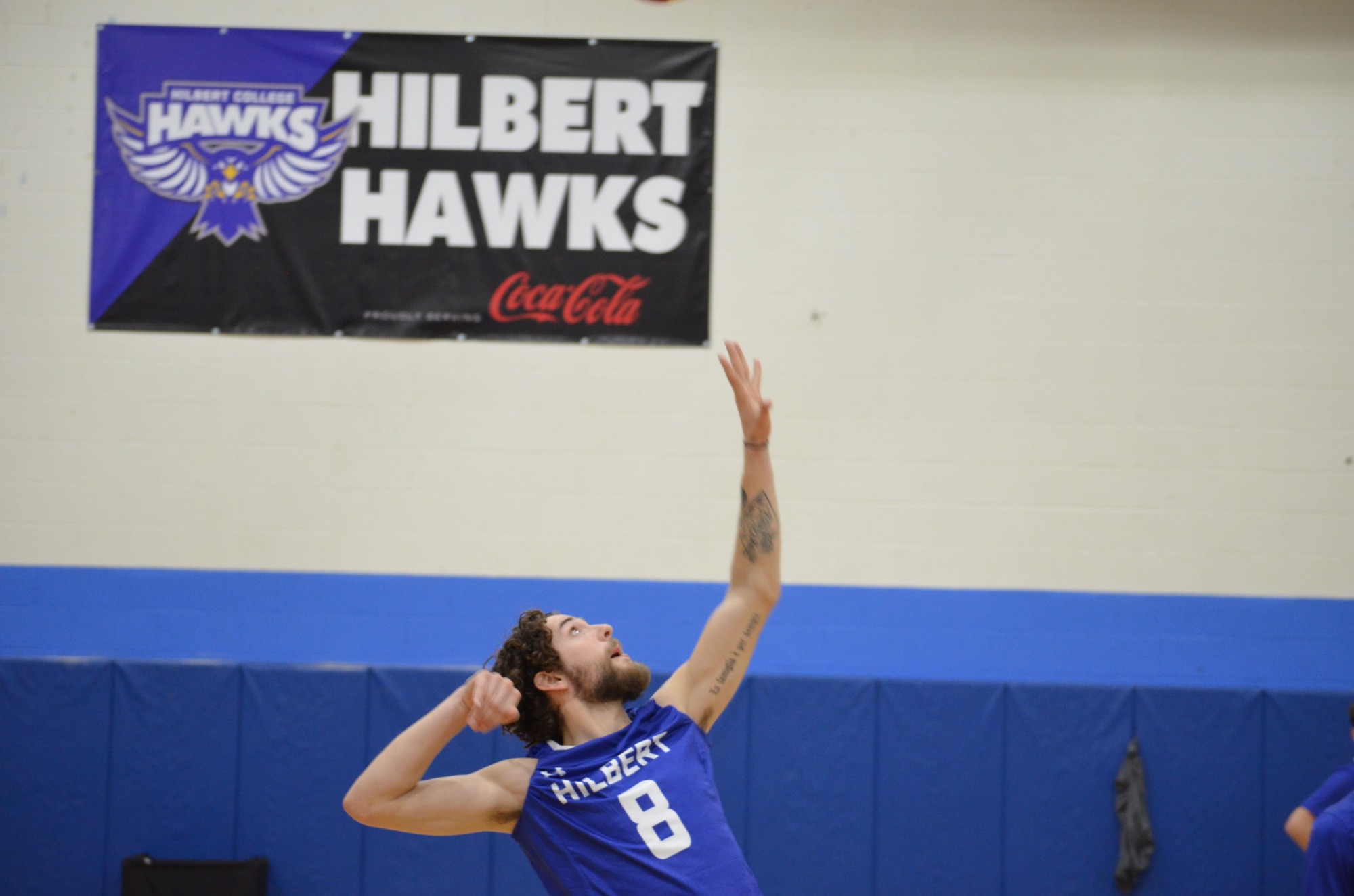 Nick Diello - Men's Volleyball - Hilbert College Athletics