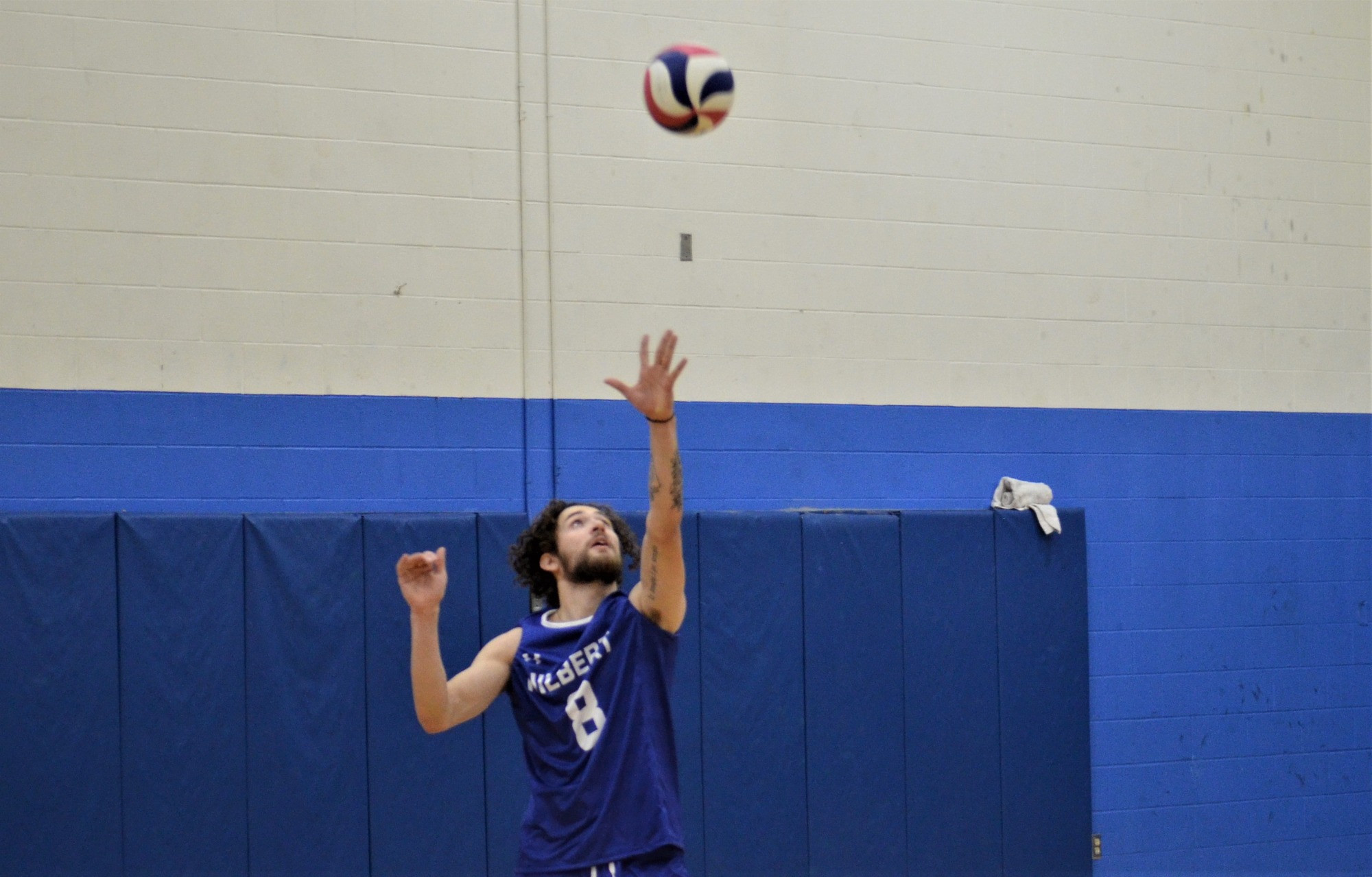 Nick Diello - Men's Volleyball - Hilbert College Athletics
