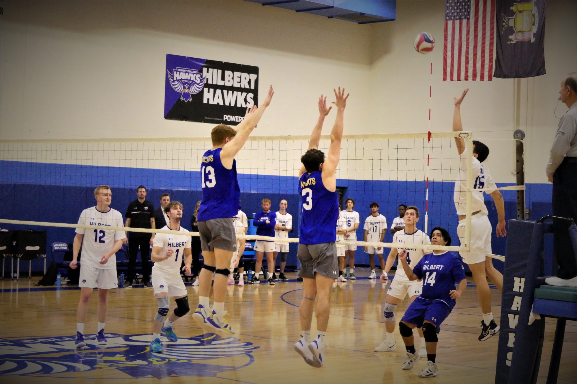 Chris Laboy - Men's Volleyball - Hilbert College Athletics