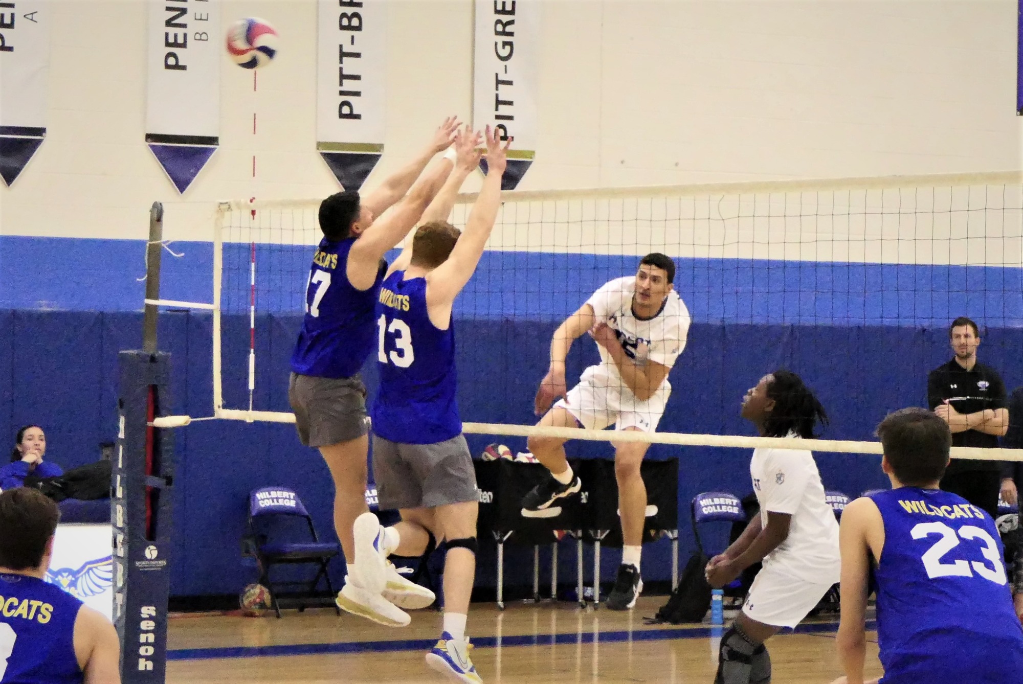 Chris Laboy - Men's Volleyball - Hilbert College Athletics