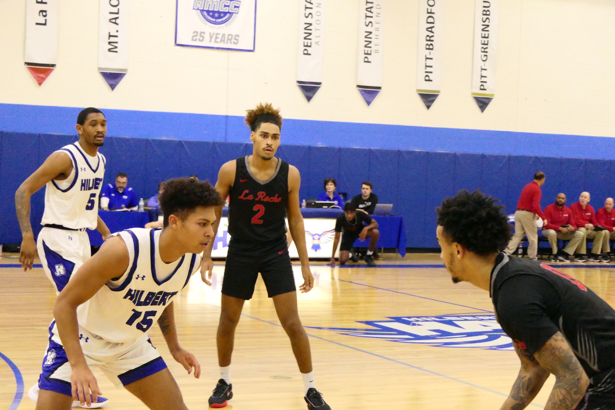 Desmond Davis - Men's Basketball - Hilbert College Athletics