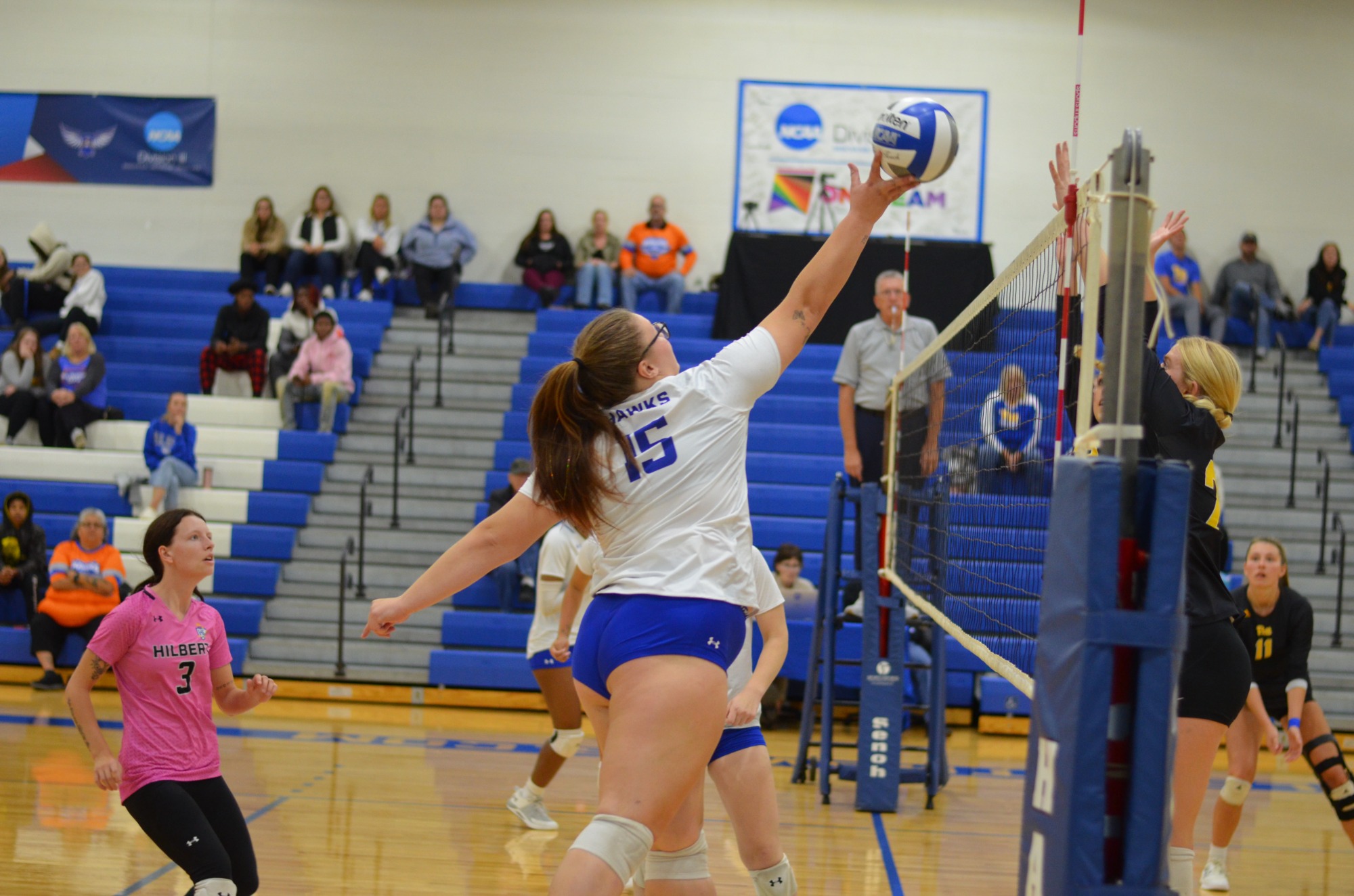 Volleyball Steals a Set from La Roche, but Falls in Four - Hilbert ...