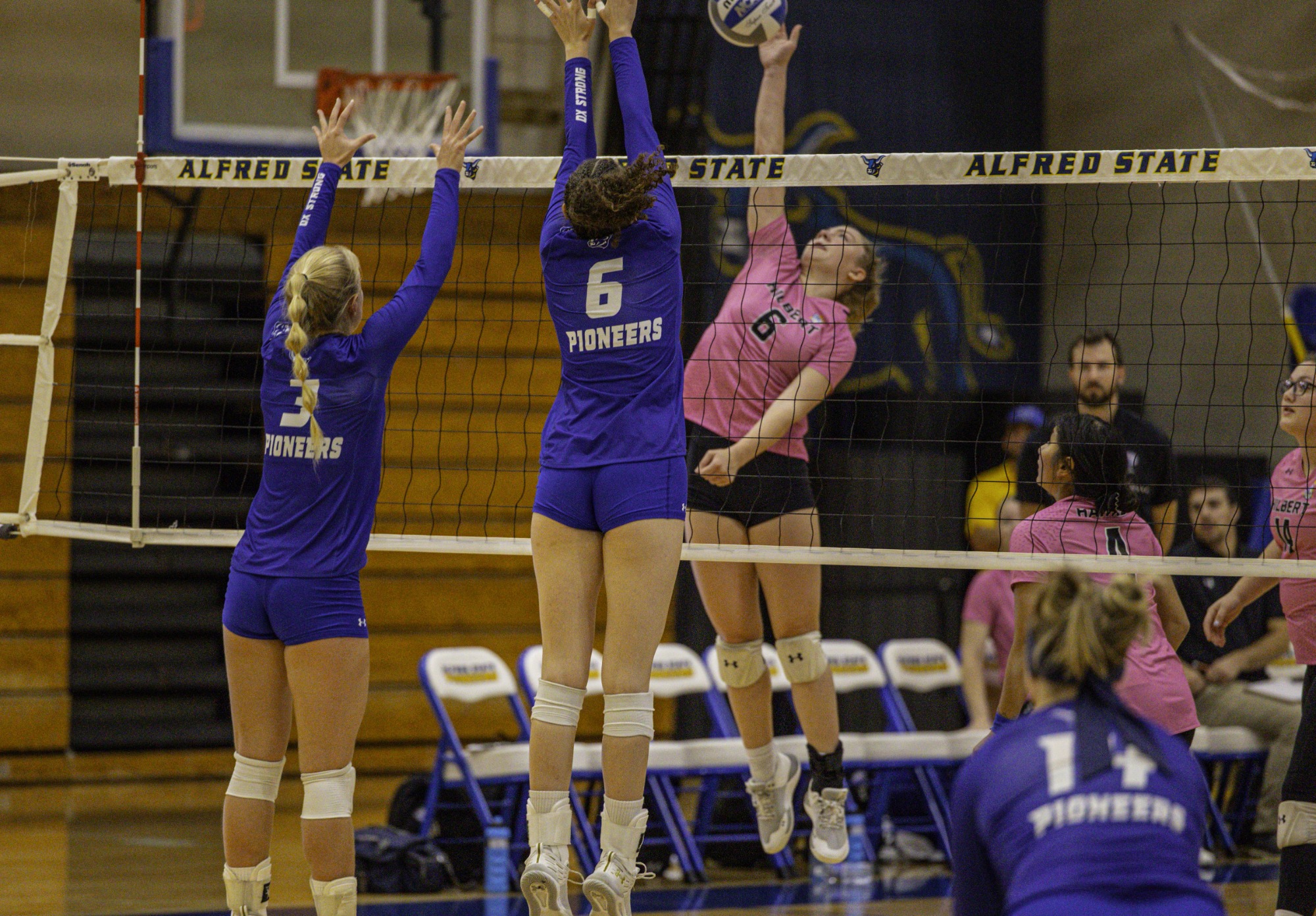 Maria Spinelli - Women's Volleyball - Hilbert College Athletics
