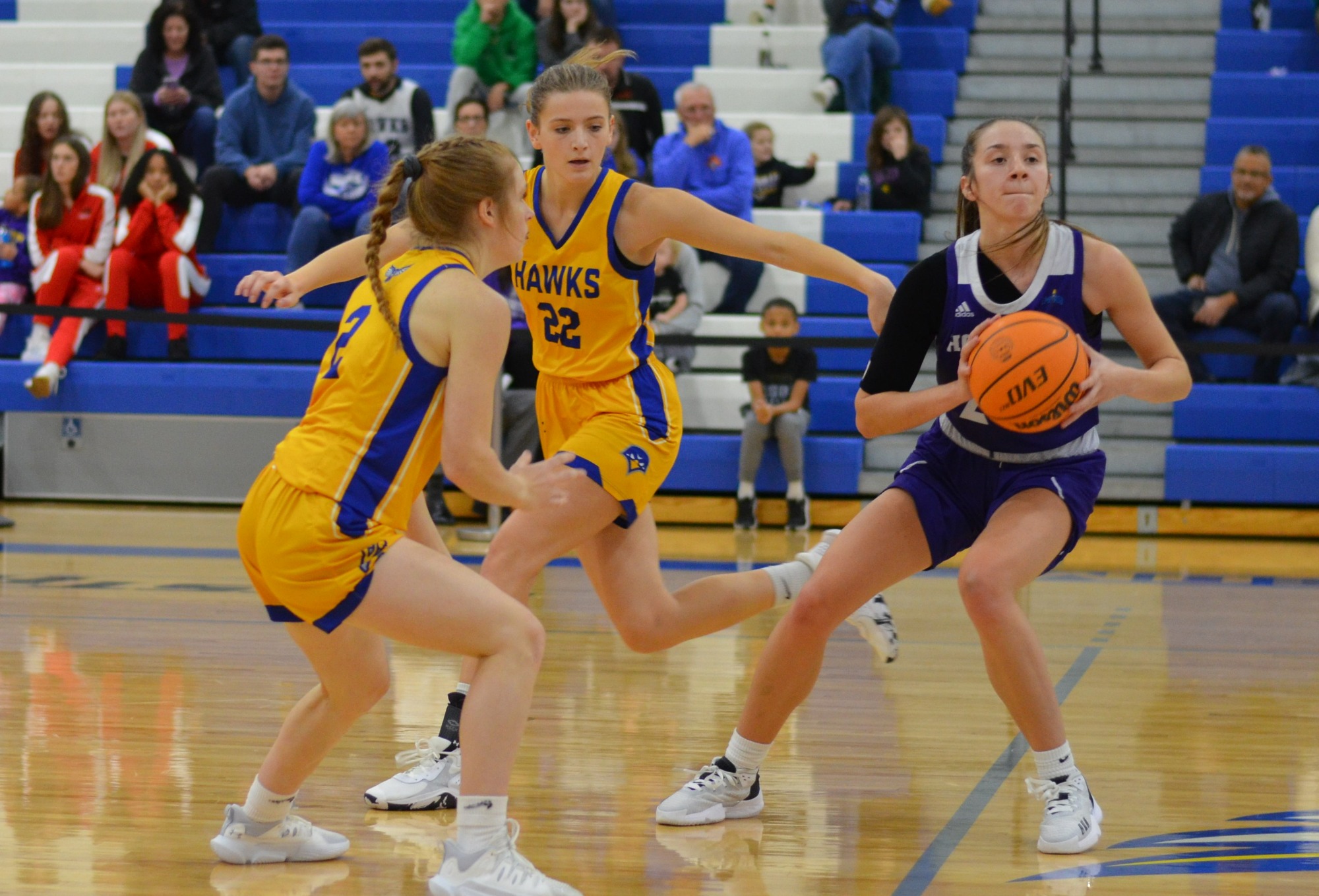 Avery Cusack - Women's Basketball - Hilbert College Athletics