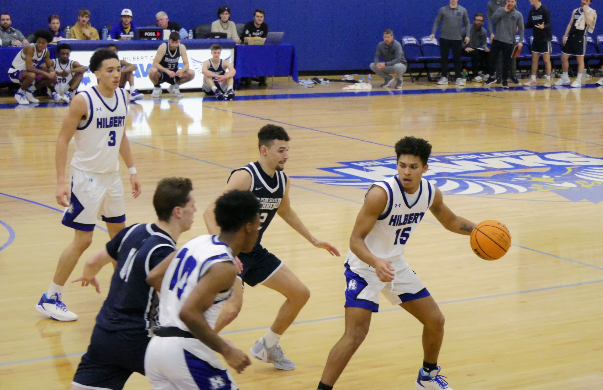 Desmond Davis - Men's Basketball - Hilbert College Athletics