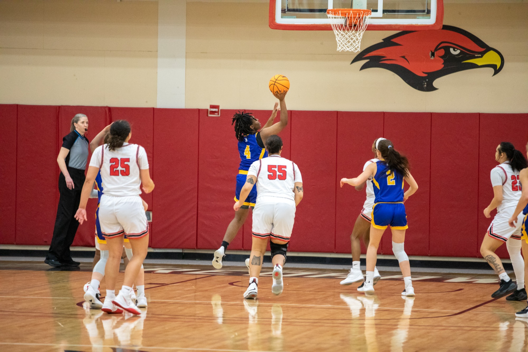 Monika Allen - Women's Basketball - Hilbert College Athletics