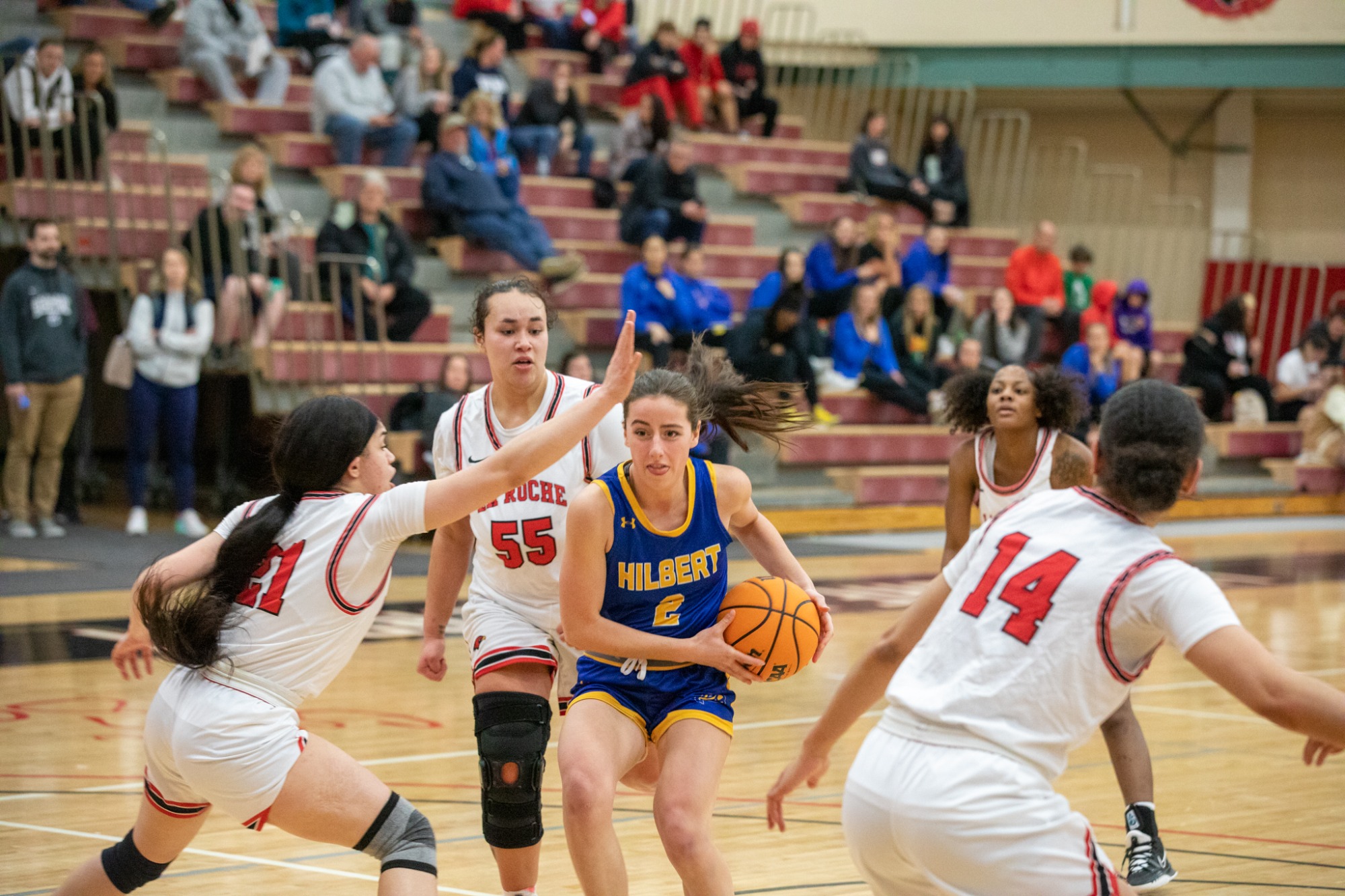 Grace Zabawa - Women's Basketball - Hilbert College Athletics