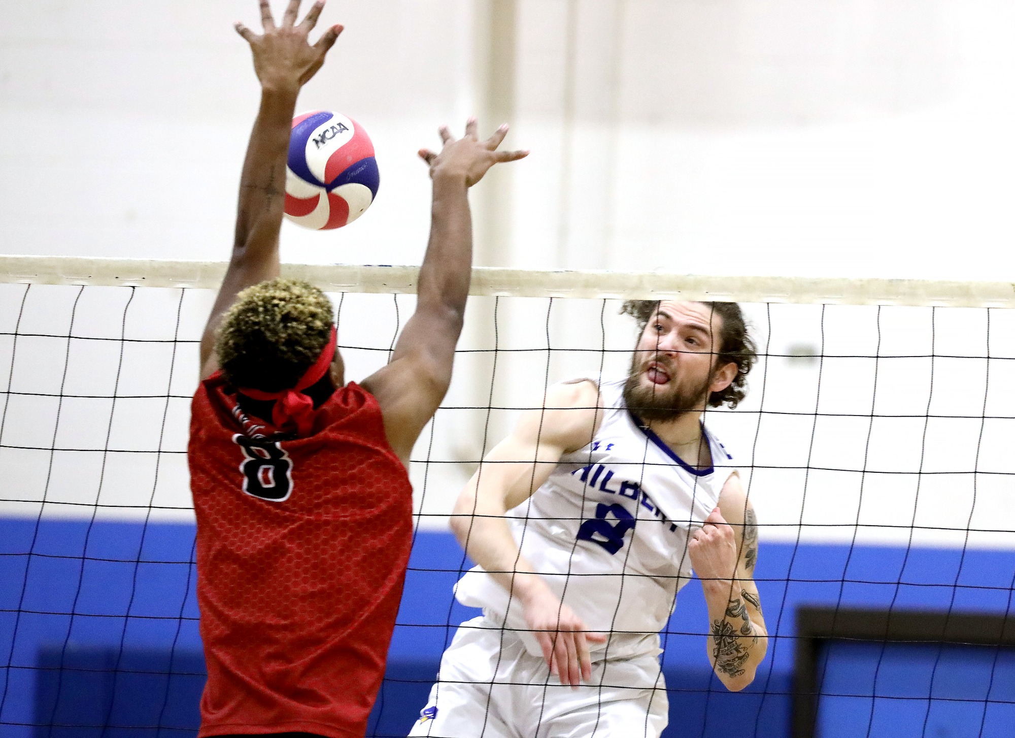Nick Diello - Men's Volleyball - Hilbert College Athletics