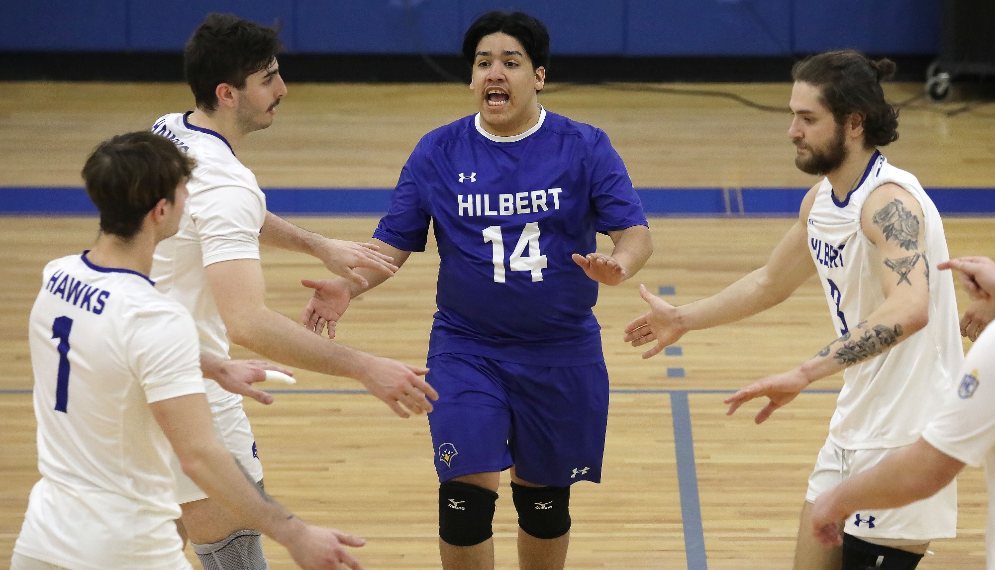 Luis Garcia - Men's Volleyball - Hilbert College Athletics