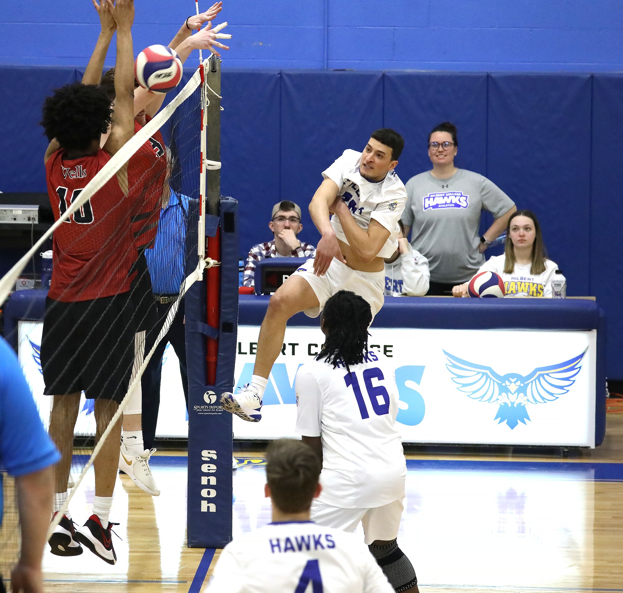 Chris Laboy - Men's Volleyball - Hilbert College Athletics