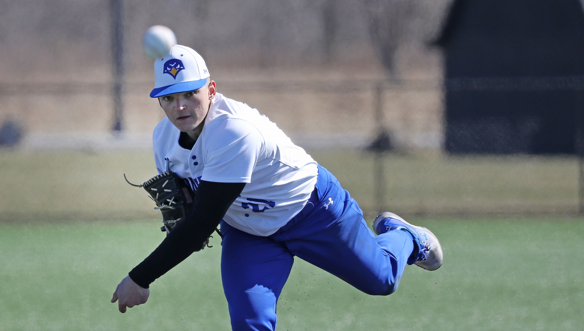Michael Contini - Baseball - Hilbert College Athletics