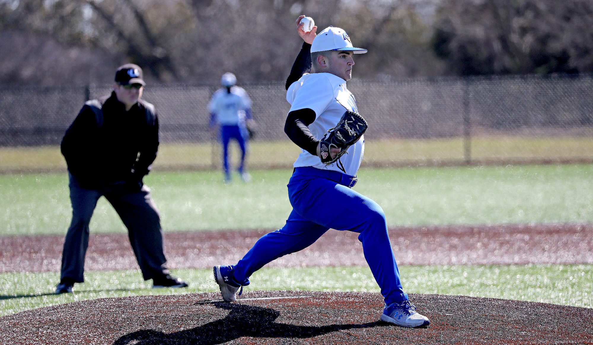 Michael Contini - Baseball - Hilbert College Athletics