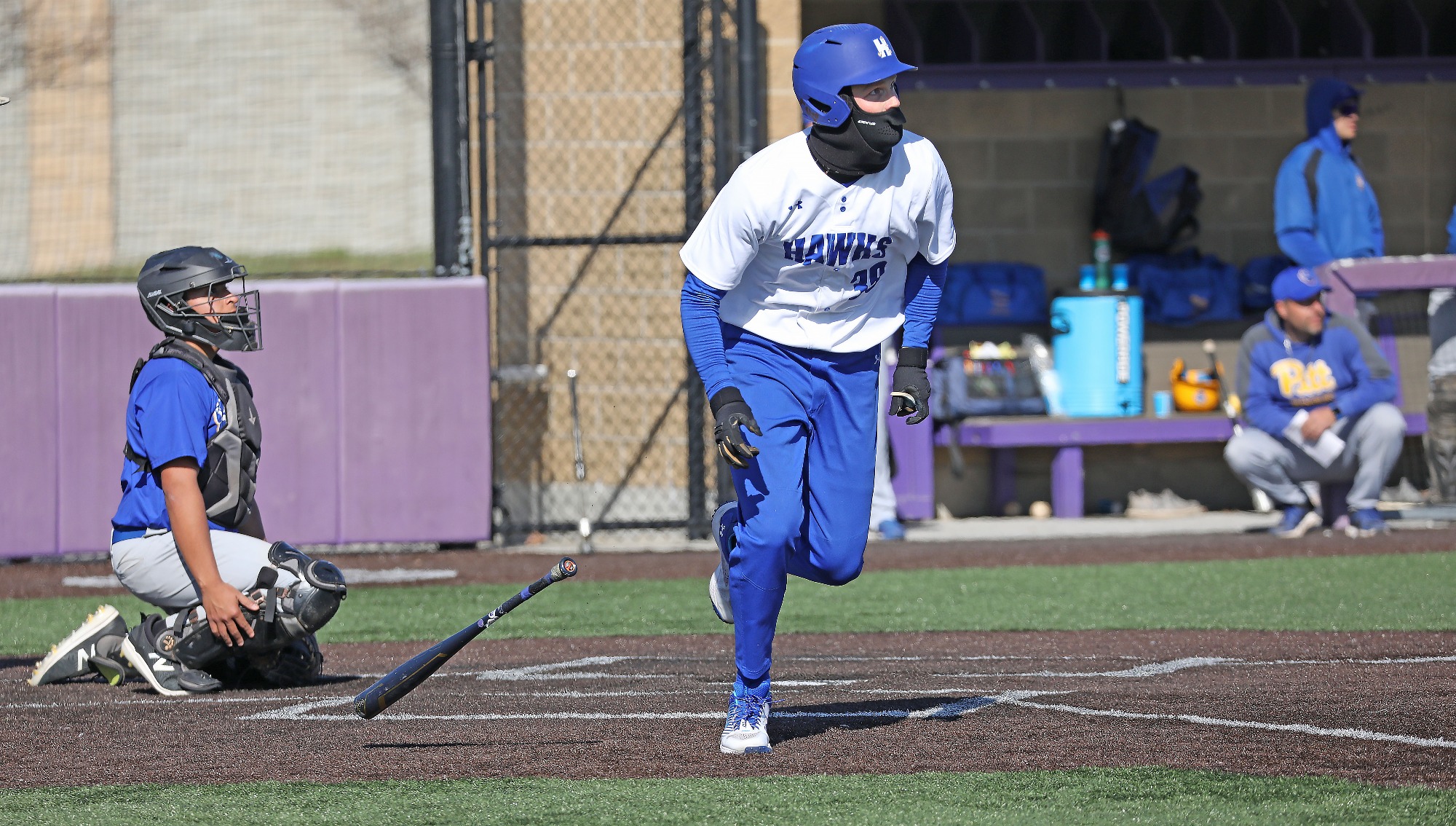 Thomas Evans - Baseball - Hilbert College Athletics