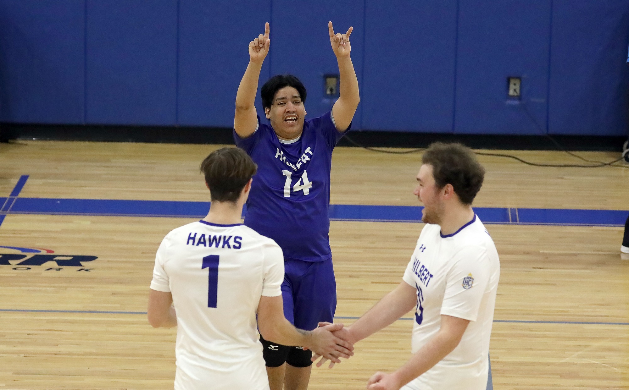 Luis Garcia - Men's Volleyball - Hilbert College Athletics
