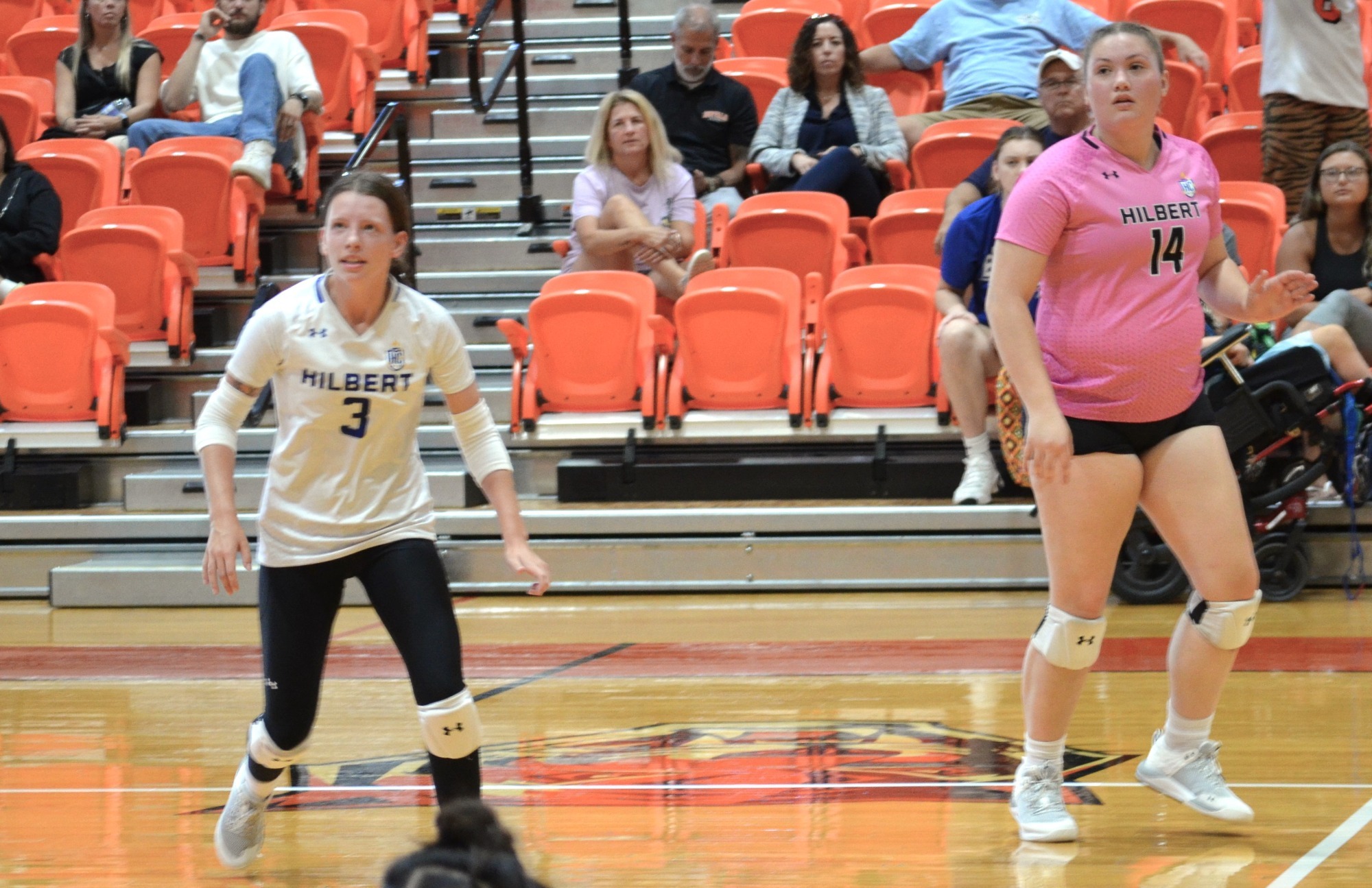 Volleyball Opens 2023 With A Win - Hilbert College Athletics