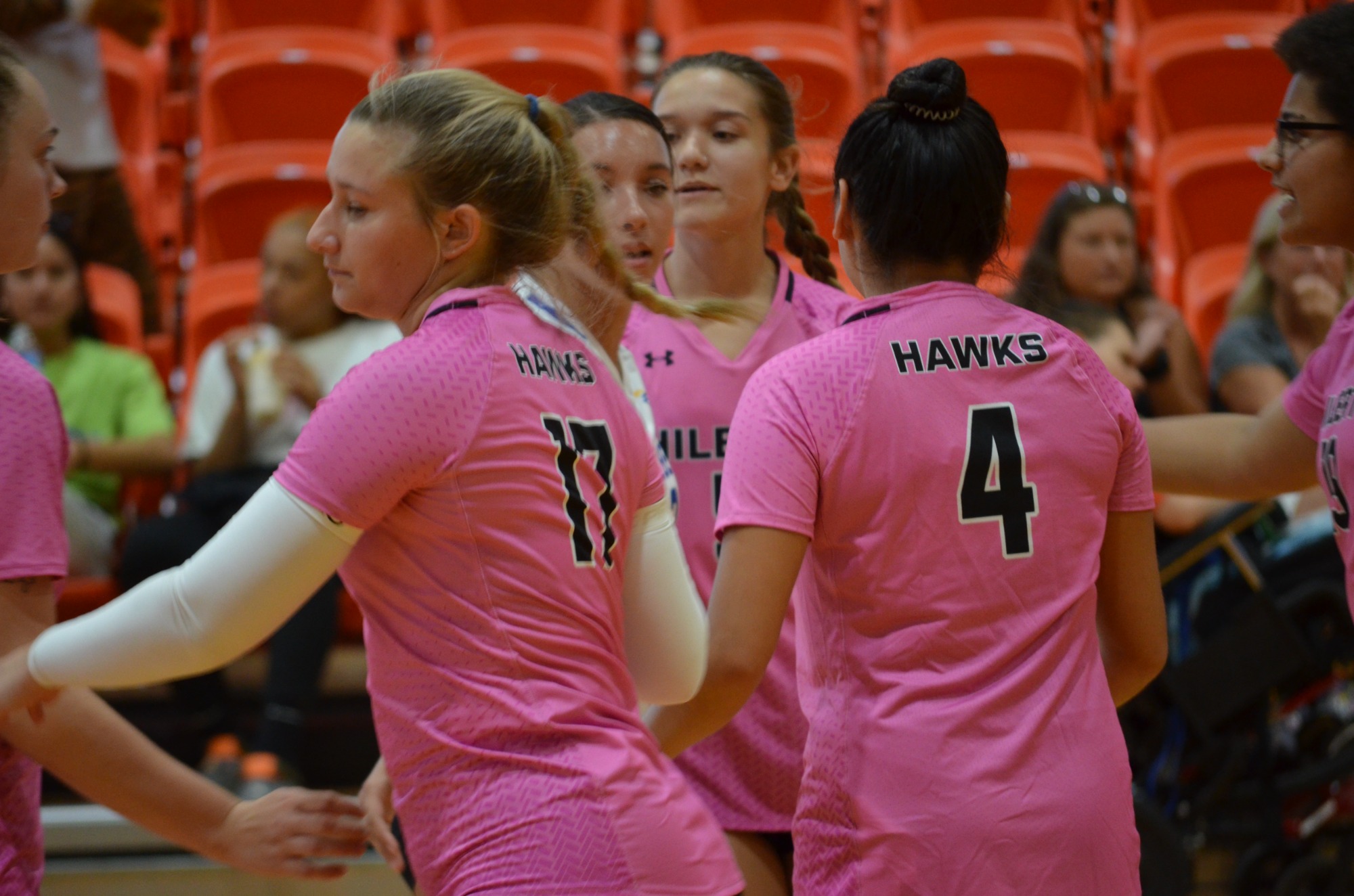 Kara Valvo - Women's Volleyball - Hilbert College Athletics