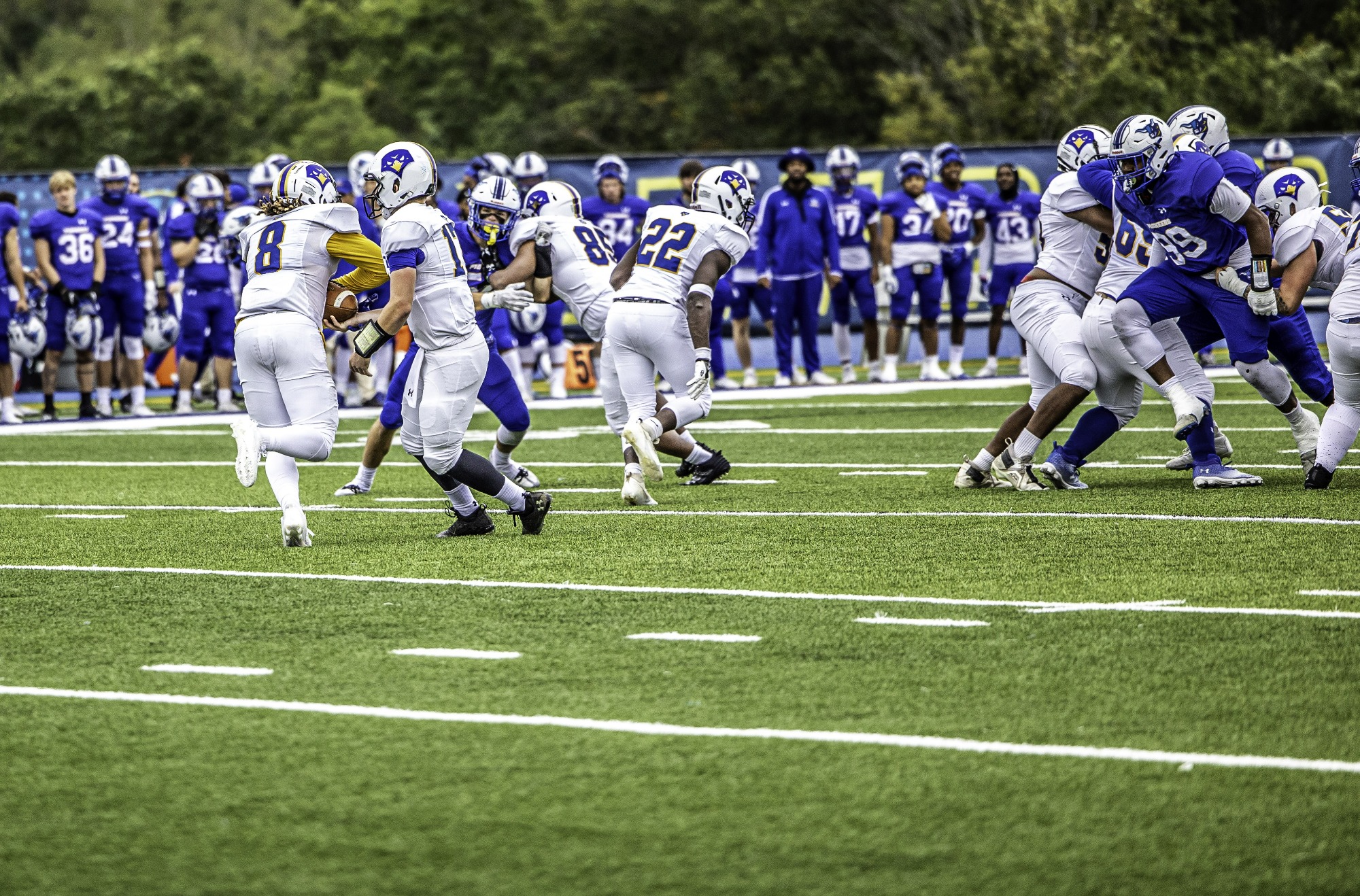 Noah Workman - Football - Hilbert College Athletics