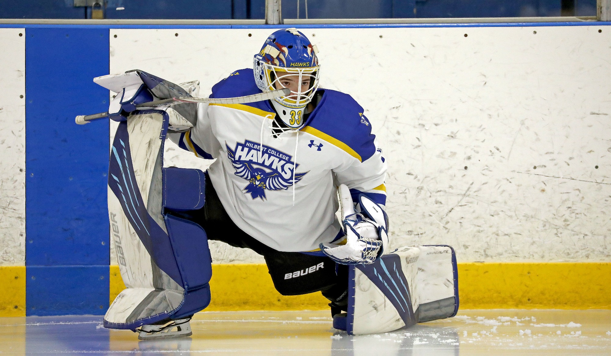 Cassie Troy - Women's Ice Hockey - Hilbert College Athletics