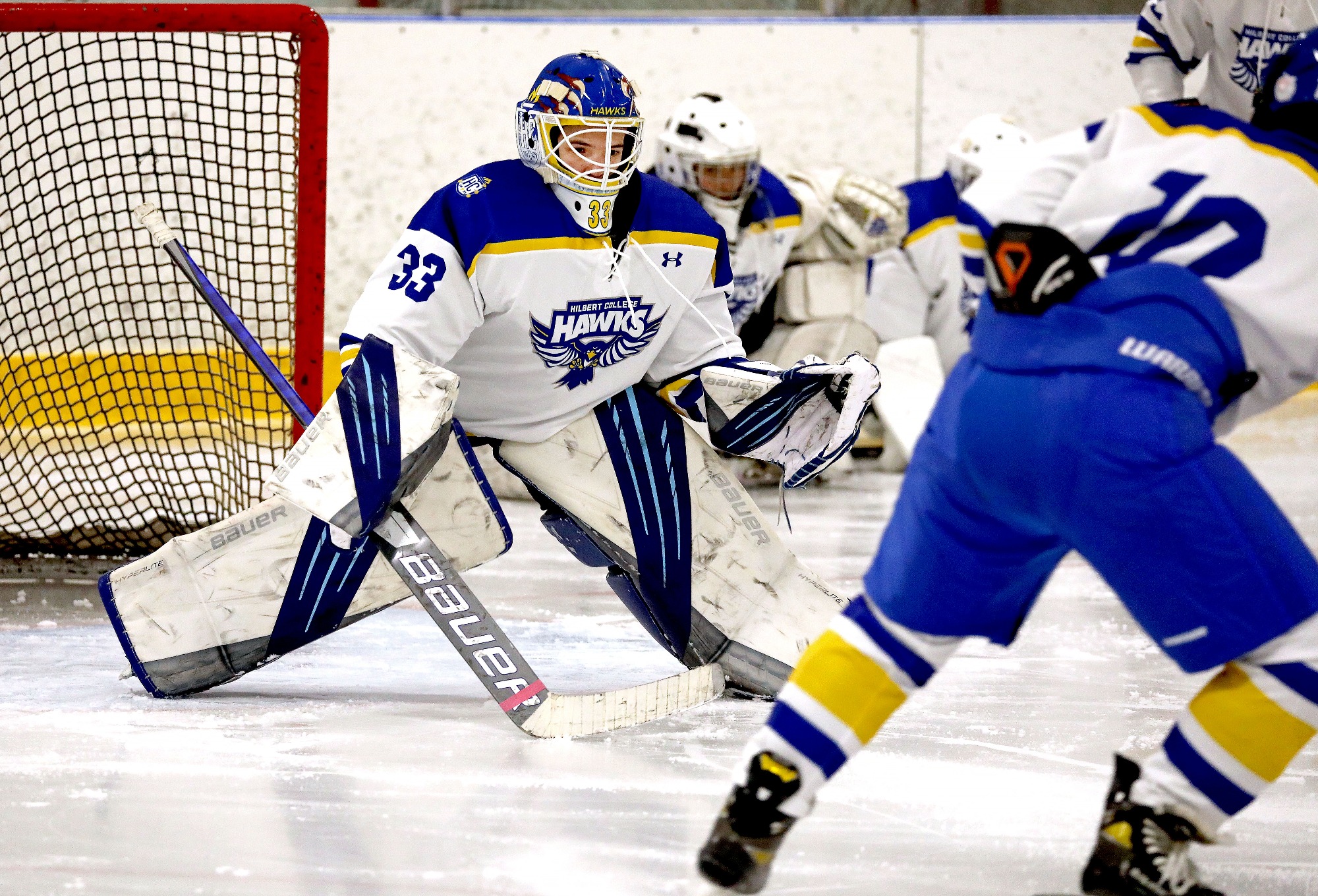 Cassie Troy - Women's Ice Hockey - Hilbert College Athletics
