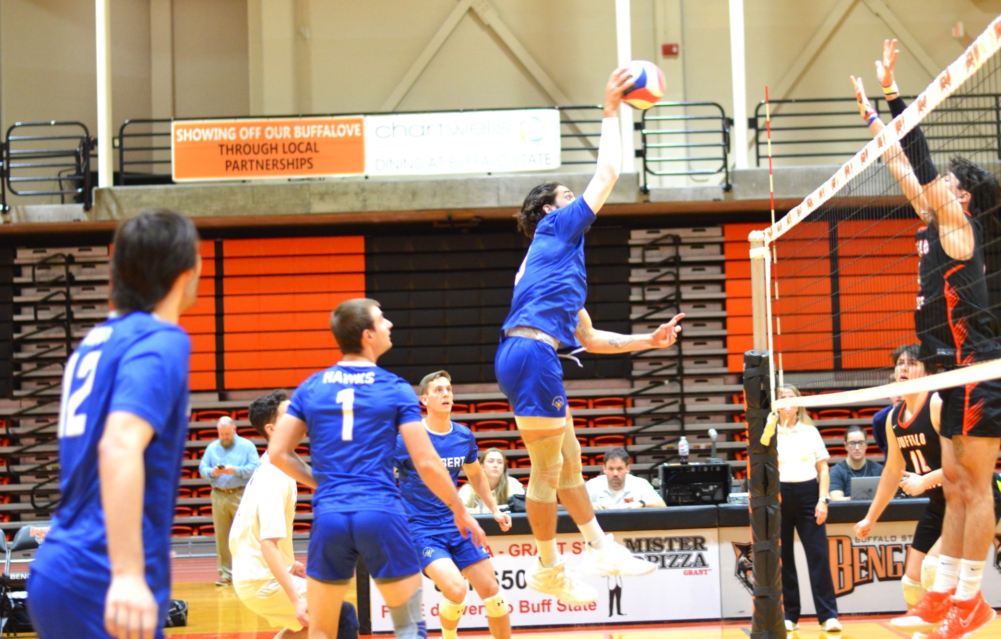 Nick Diello - Men's Volleyball - Hilbert College Athletics