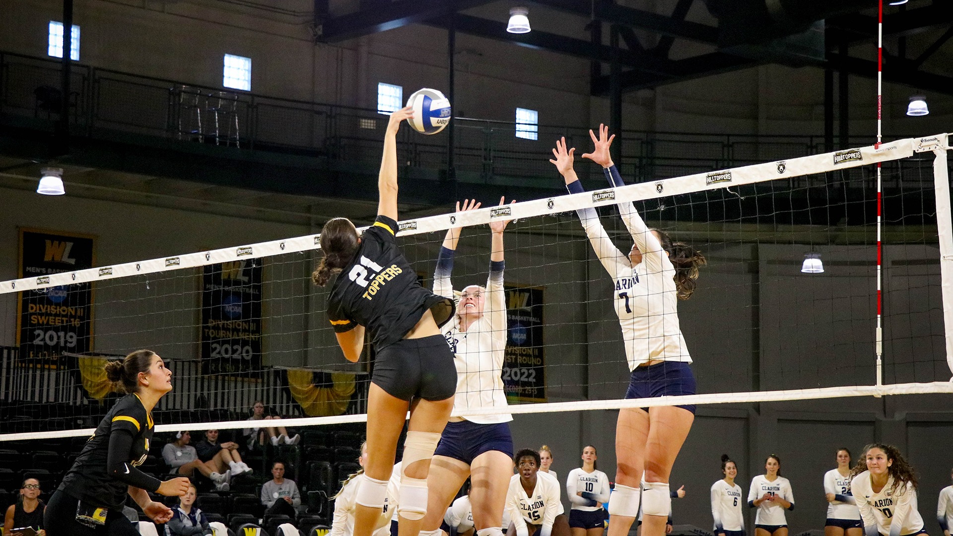 Hilltoppers Fall to Wheeling in Straight Sets - West Liberty University ...