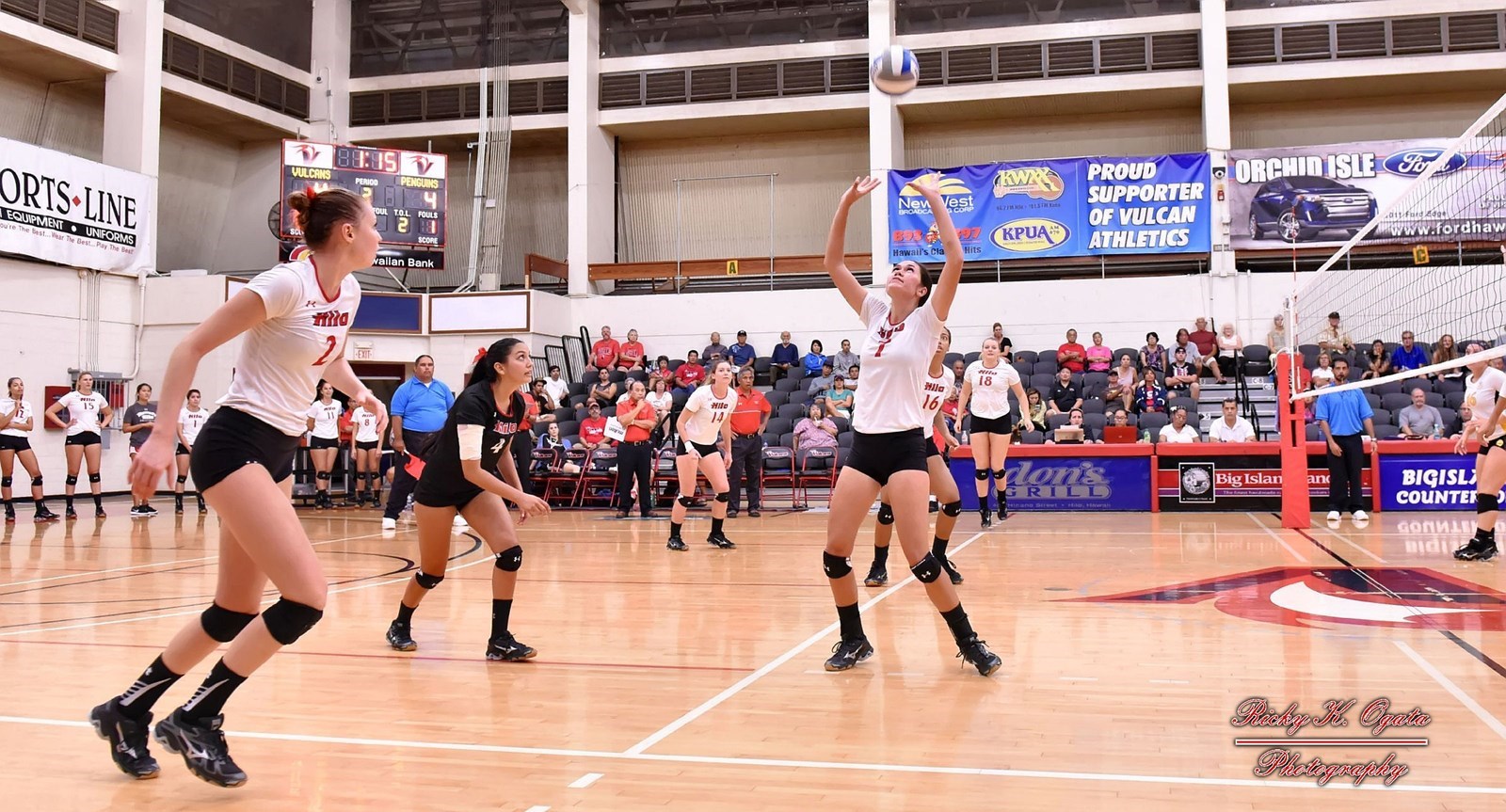 Sienna Davis - Women's Volleyball - Hawai'i Hilo Vulcans Athletics