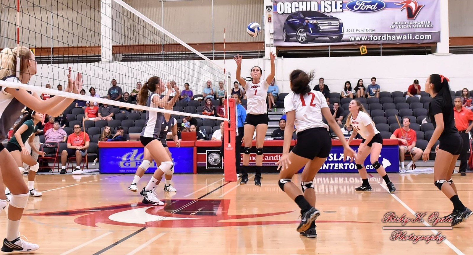 Sienna Davis - Women's Volleyball - Hawai'i Hilo Vulcans Athletics