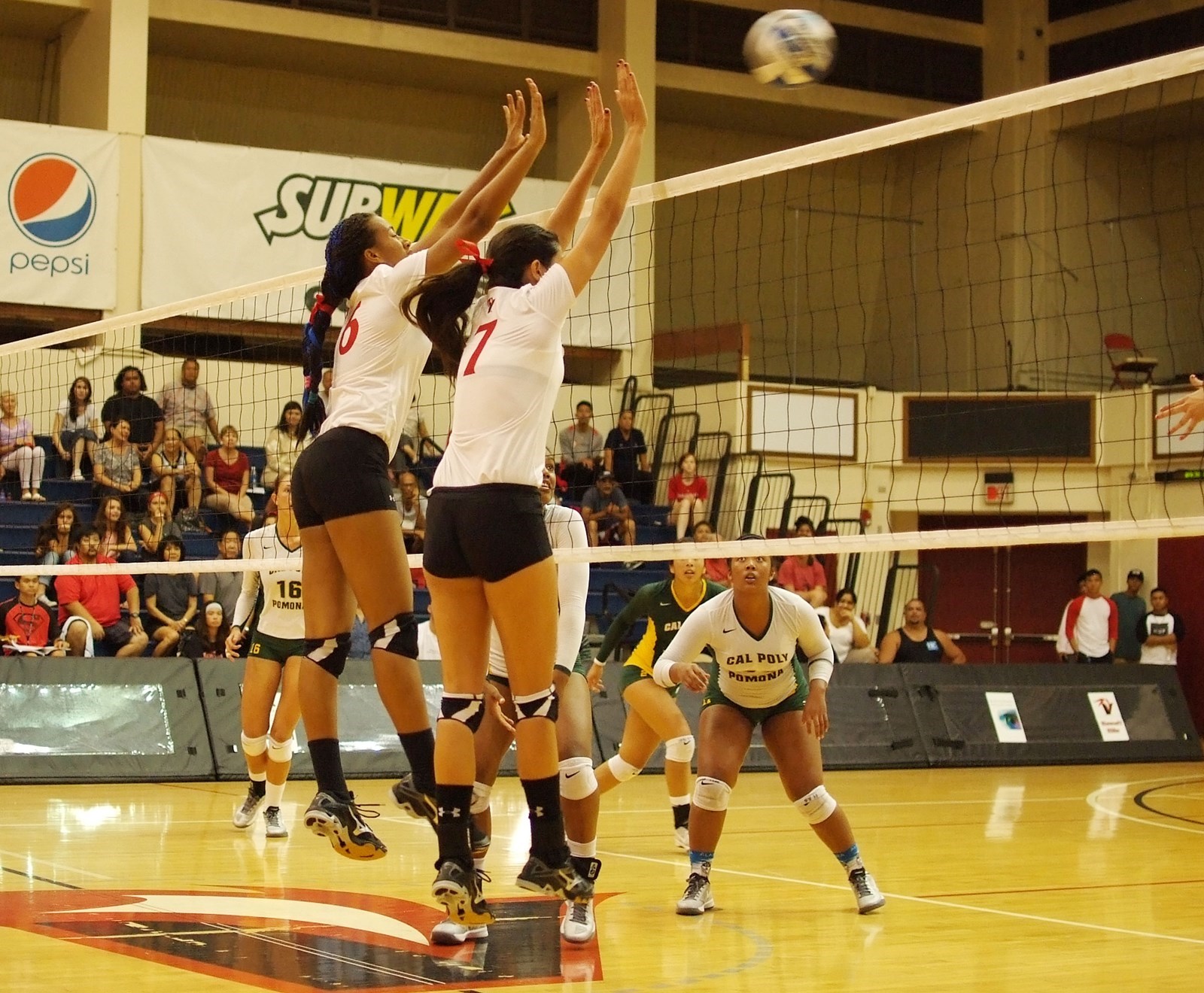 Sienna Davis - Women's Volleyball - Hawai'i Hilo Vulcans Athletics