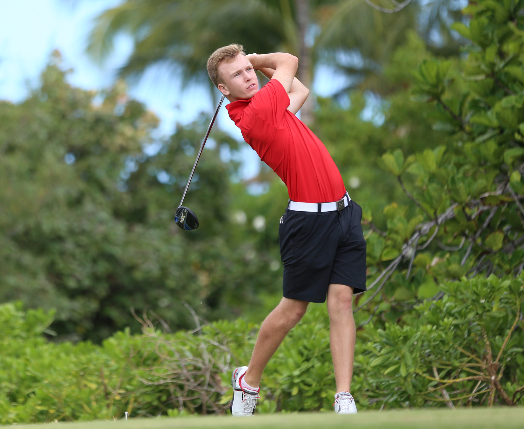 Taylor Patrick - Men's Golf - Hawai'i Hilo Vulcans Athletics