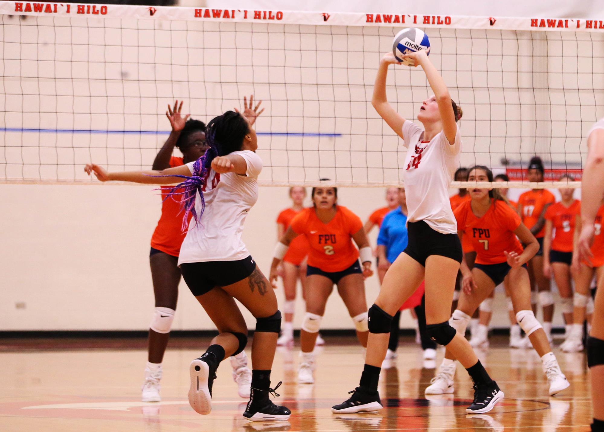 Vulcans fight off fiesty Sunbirds - Hawai'i Hilo Vulcans Athletics